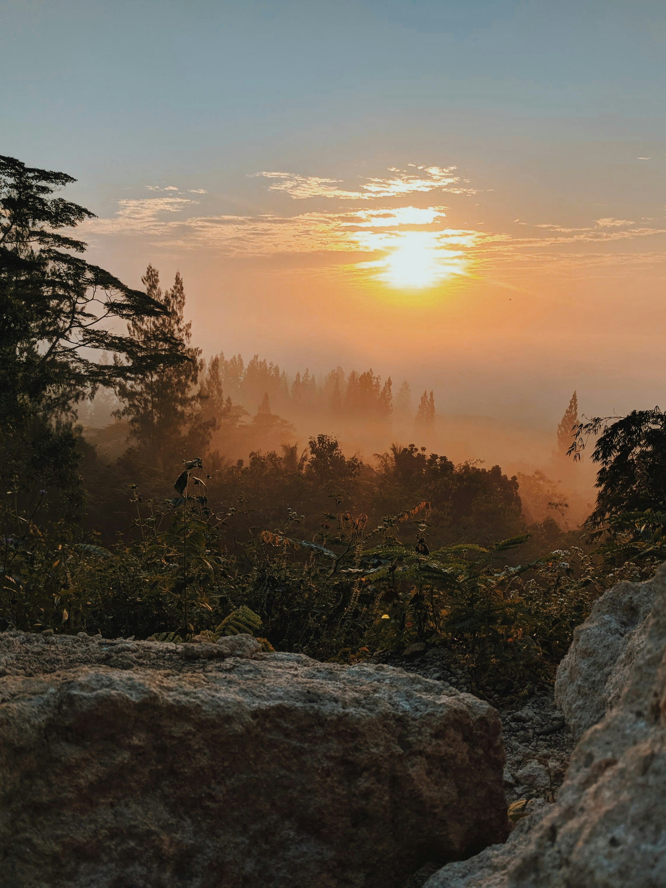 Sunrise Veil Over Misty Ridge