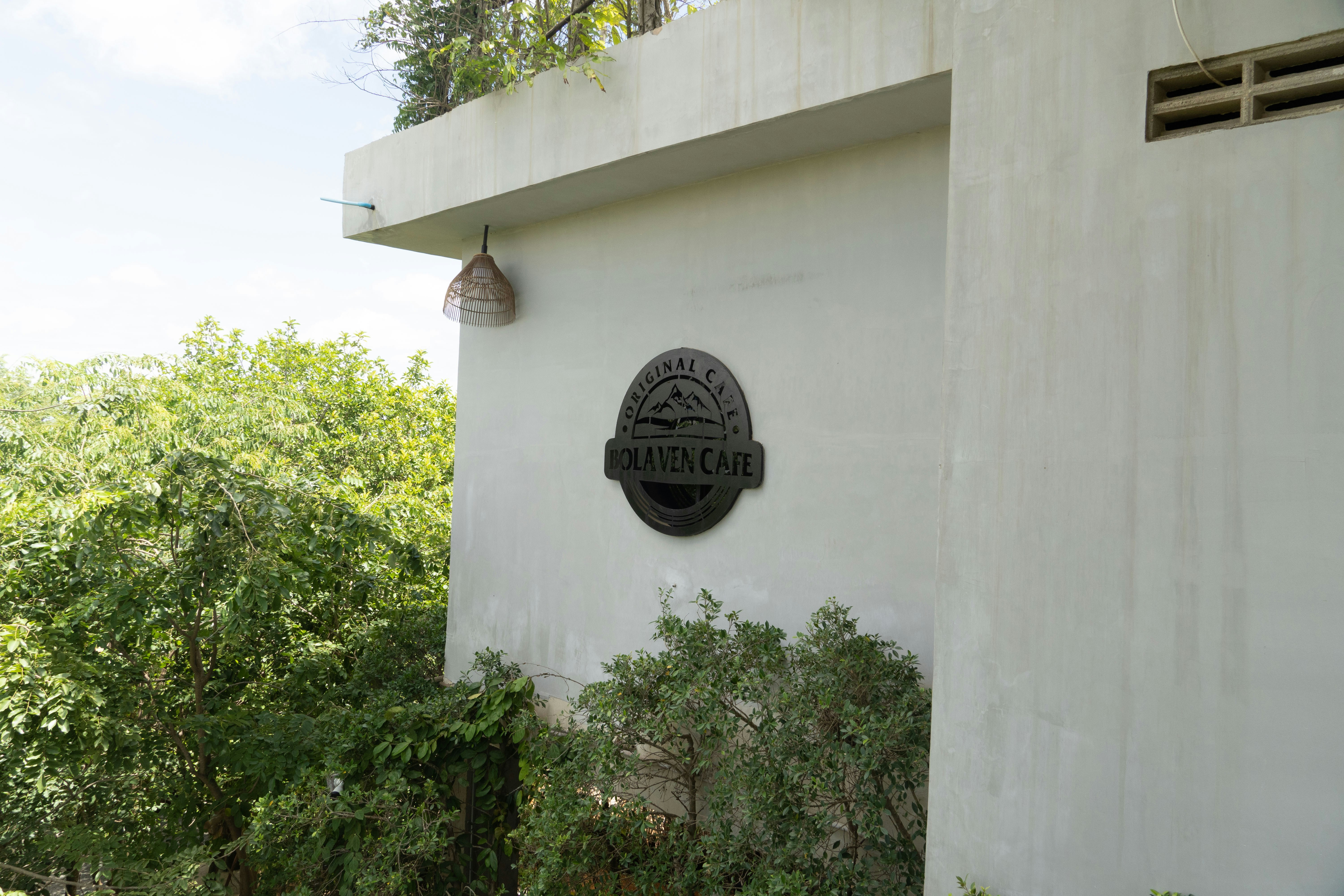 Cafe Emblem on a Sunlit Concrete Facade Framed by Lush Greenery