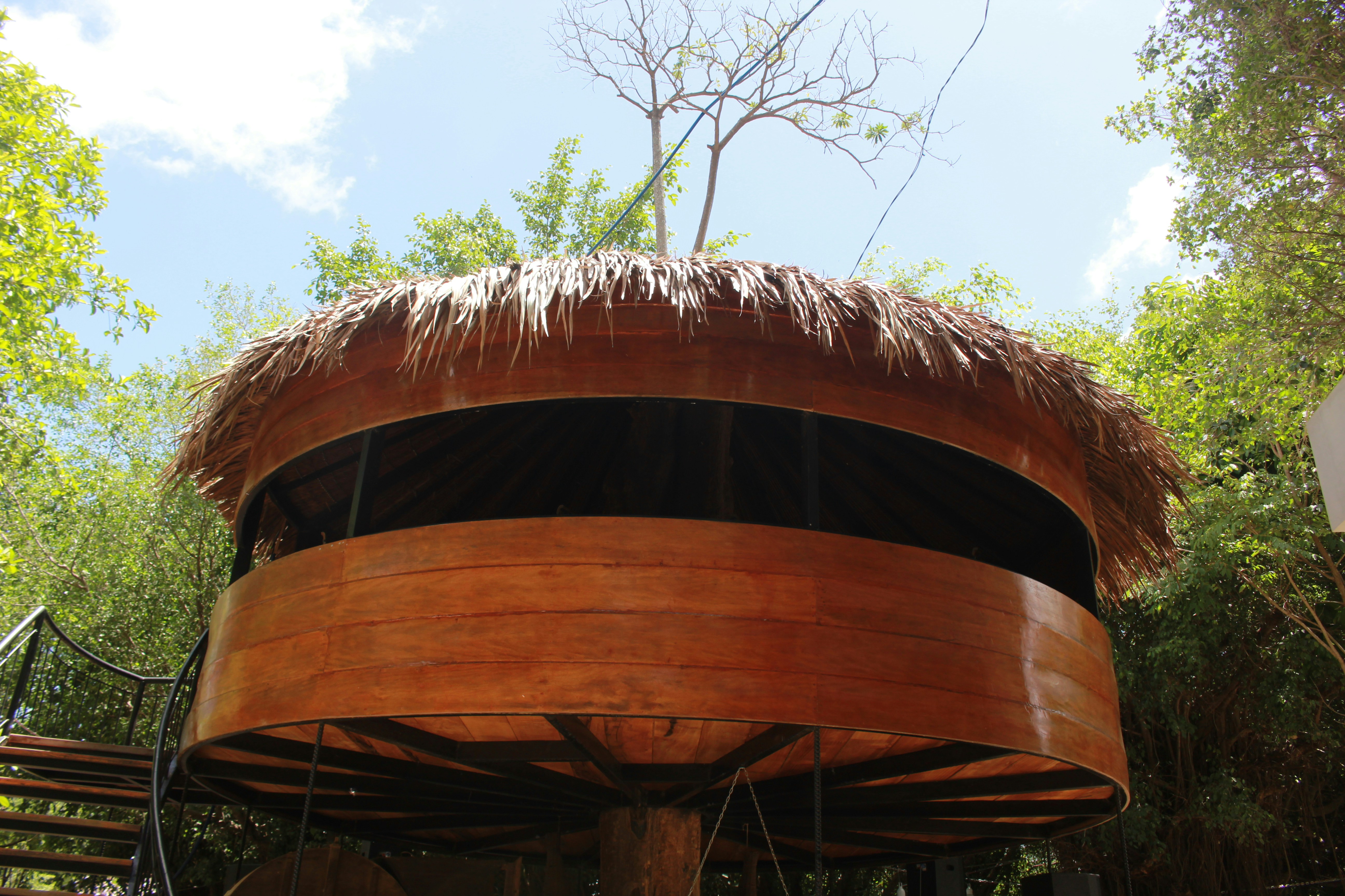 Circular Thatched Treehouse on Stilts Beneath a Bright Canopy