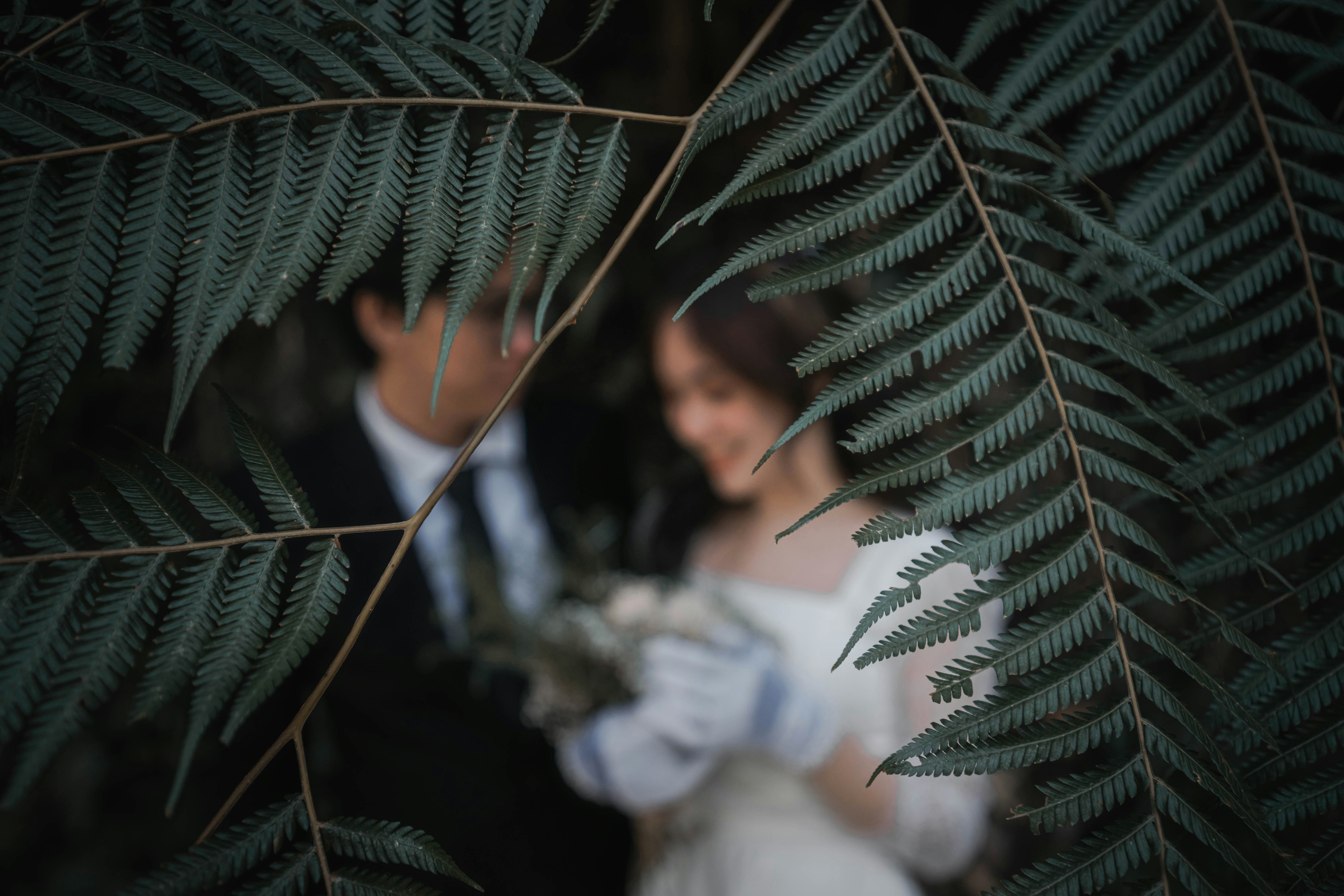 Veiled Union: A Quiet Moment Behind Fronds