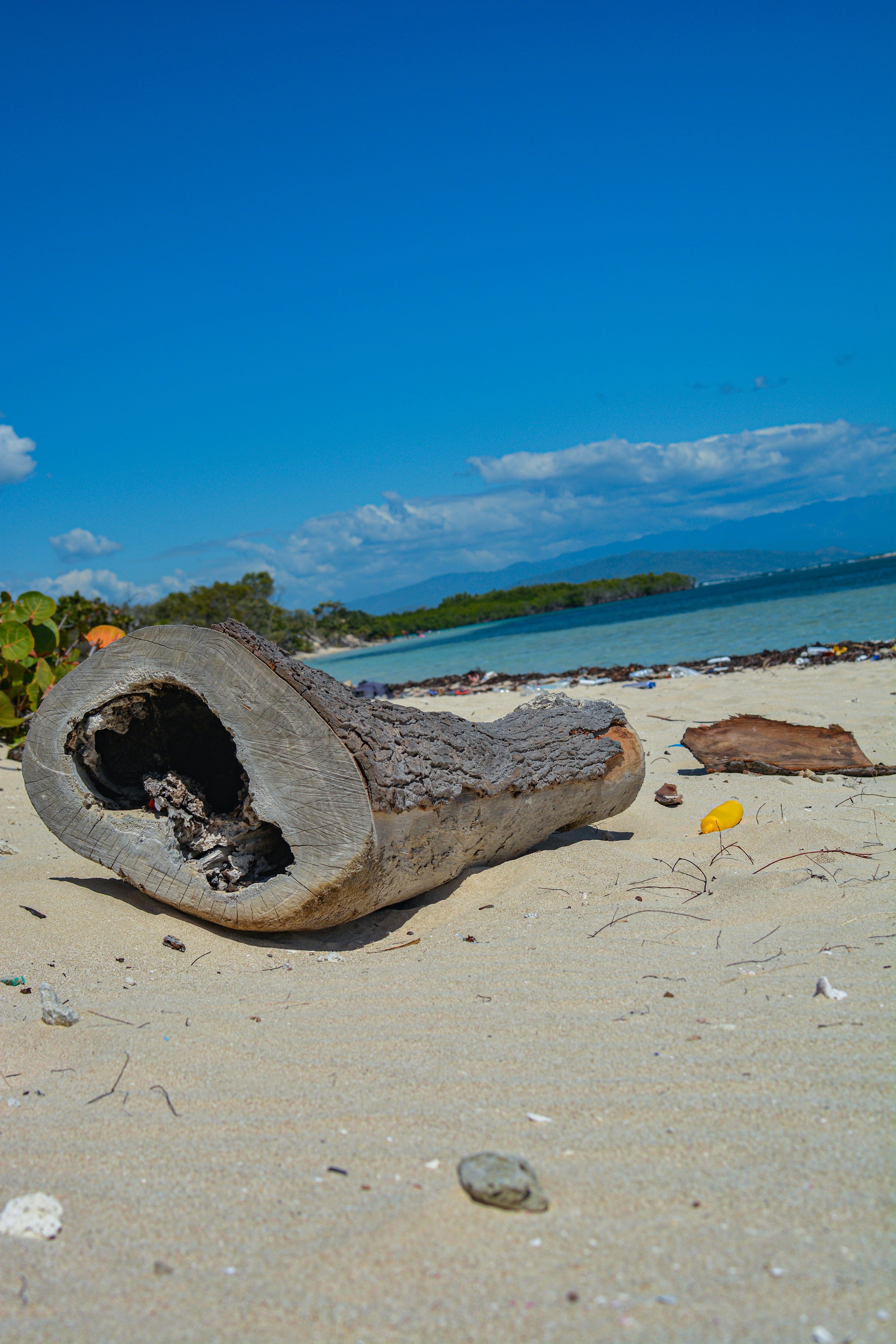 Une grosse bûche sur une plage photo – Photo Bleu Gratuite sur Unsplash