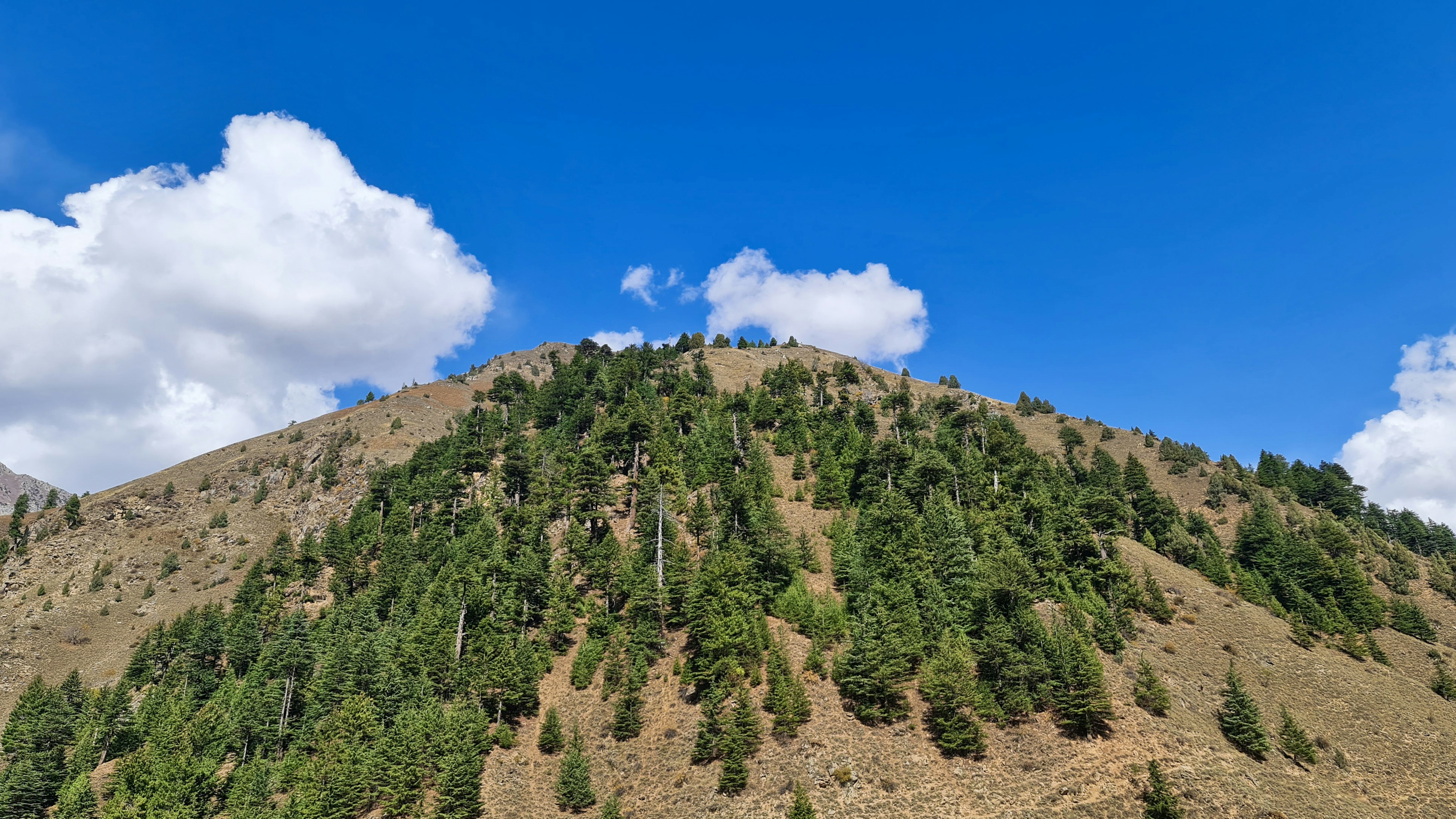 Nicely framed Hd wallpaper for desktop. Vibrant blue sky with a mountain slightly covered in vegetation in foreground 