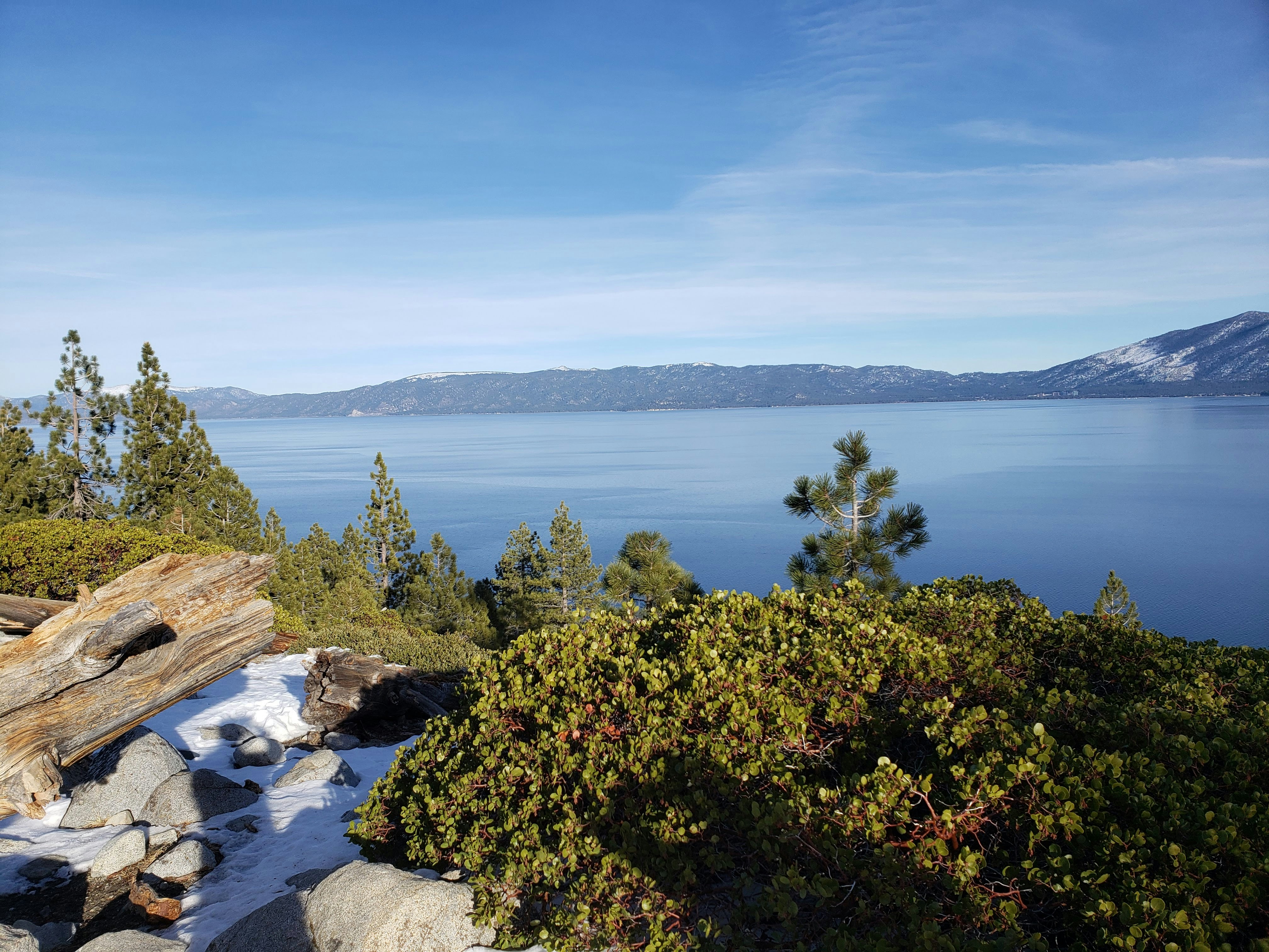 Blue Rim: Pine Foreground Framing a Quiet Lake Under Snow-Dusted Peaks