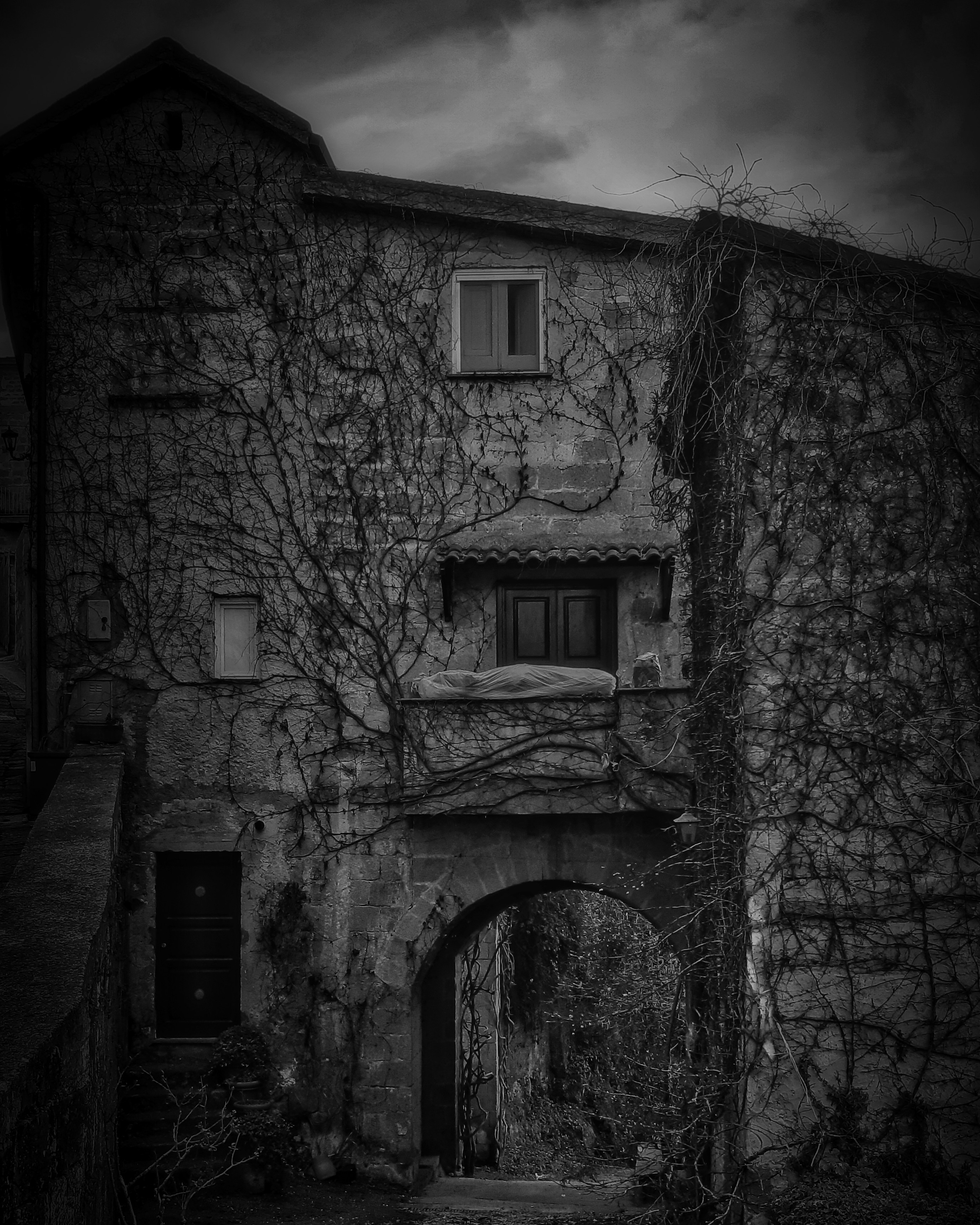 A stone building with a tree growing out of it photo – Free Conca della ...