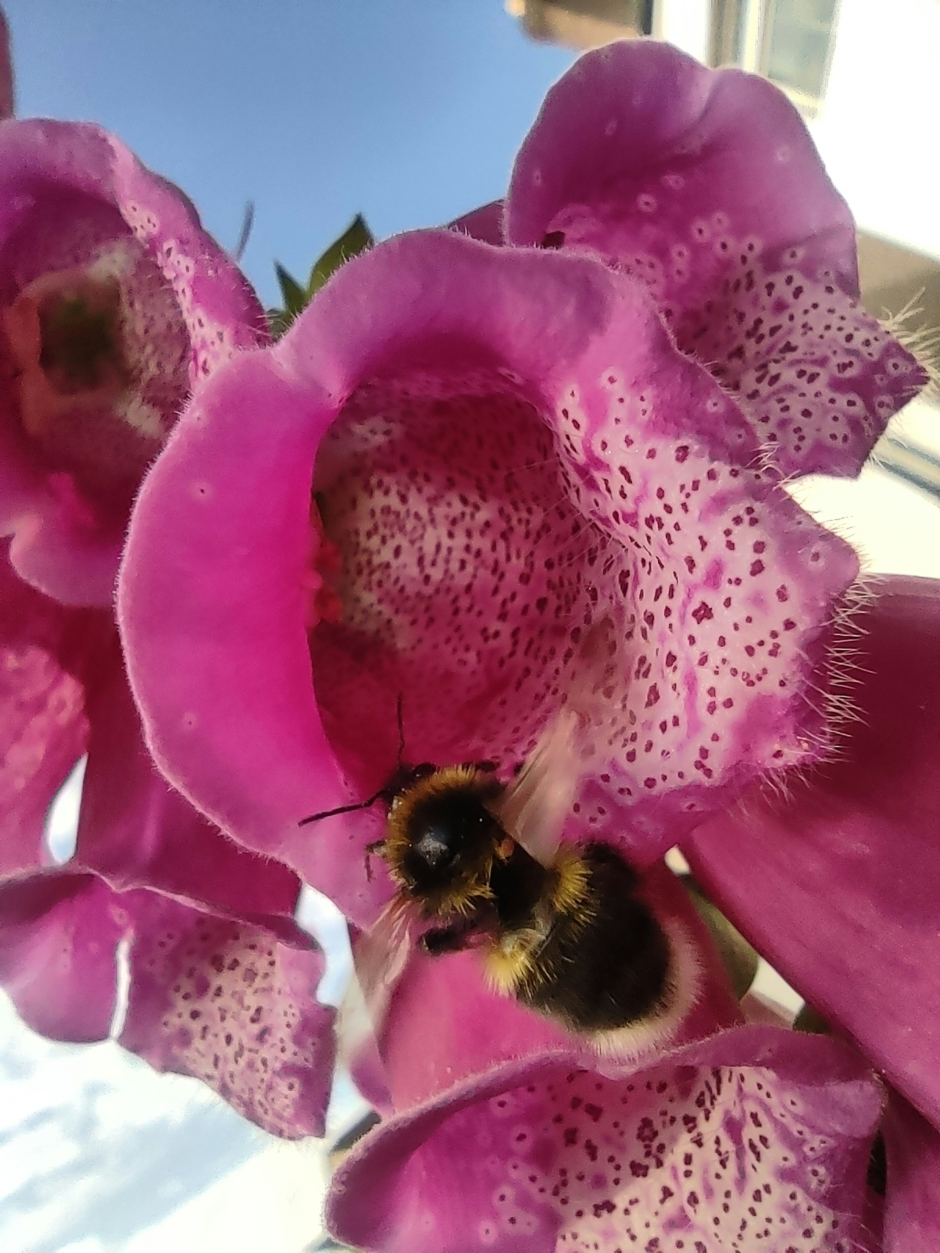 Dave Clubb (@davidoclubb) | Communauté photos Unsplash