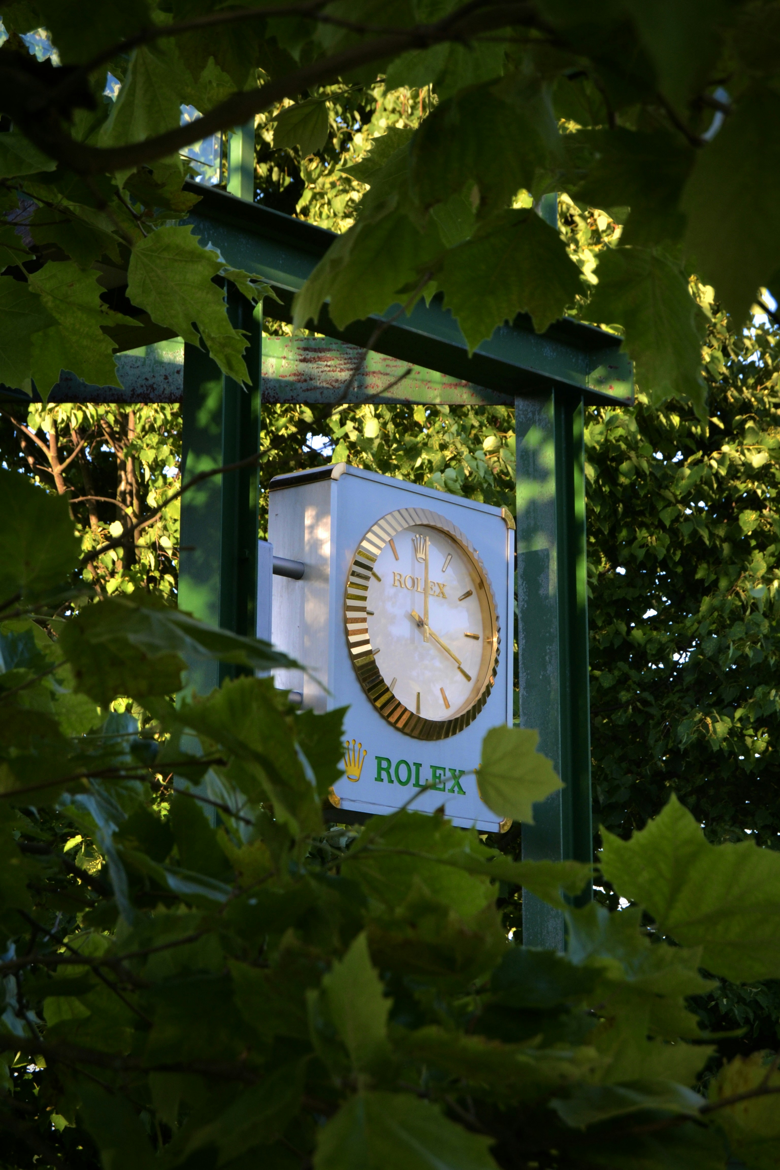 Timekeeper Amid the Canopy: A Rolex Clock Framed by Vines