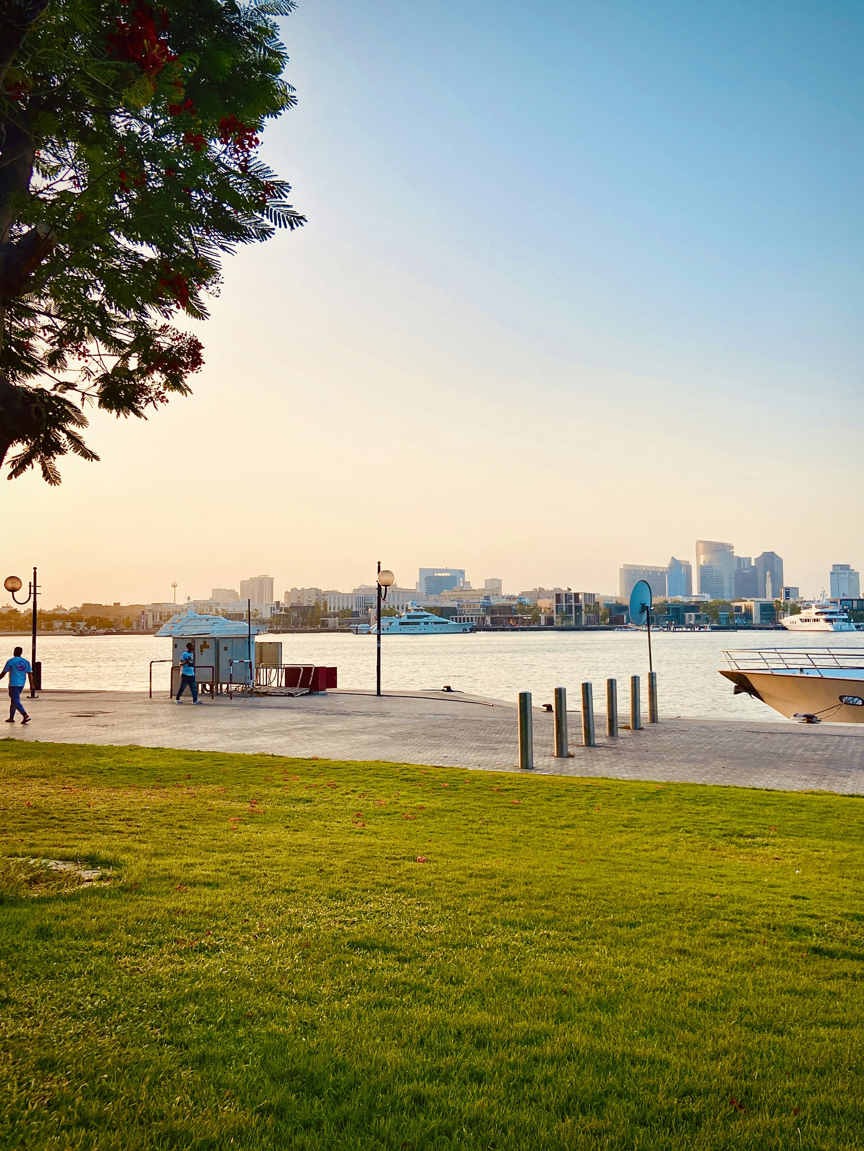 Lush green park overlooking a calm river with a city skyline under a warm evening sky.