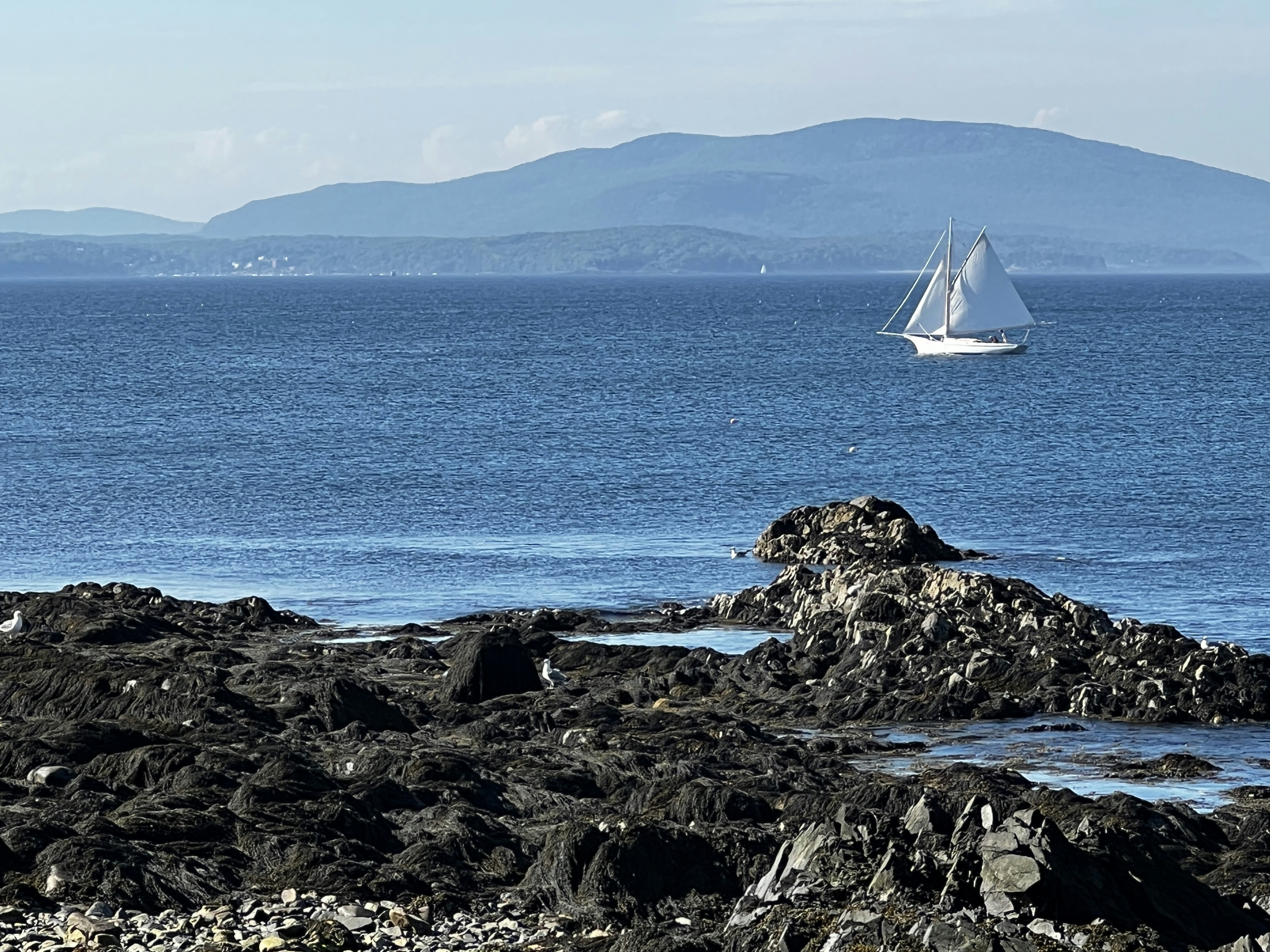 Sailing Serenity: A Coastal Escape
