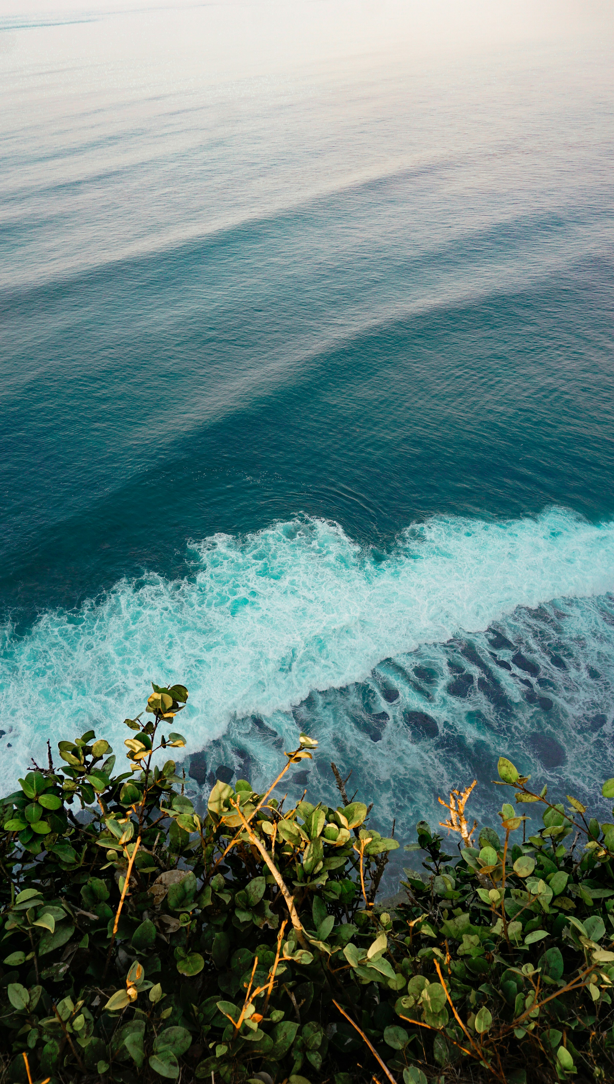 Cliffside Edge: Ocean Tides Meet Verdant Brush