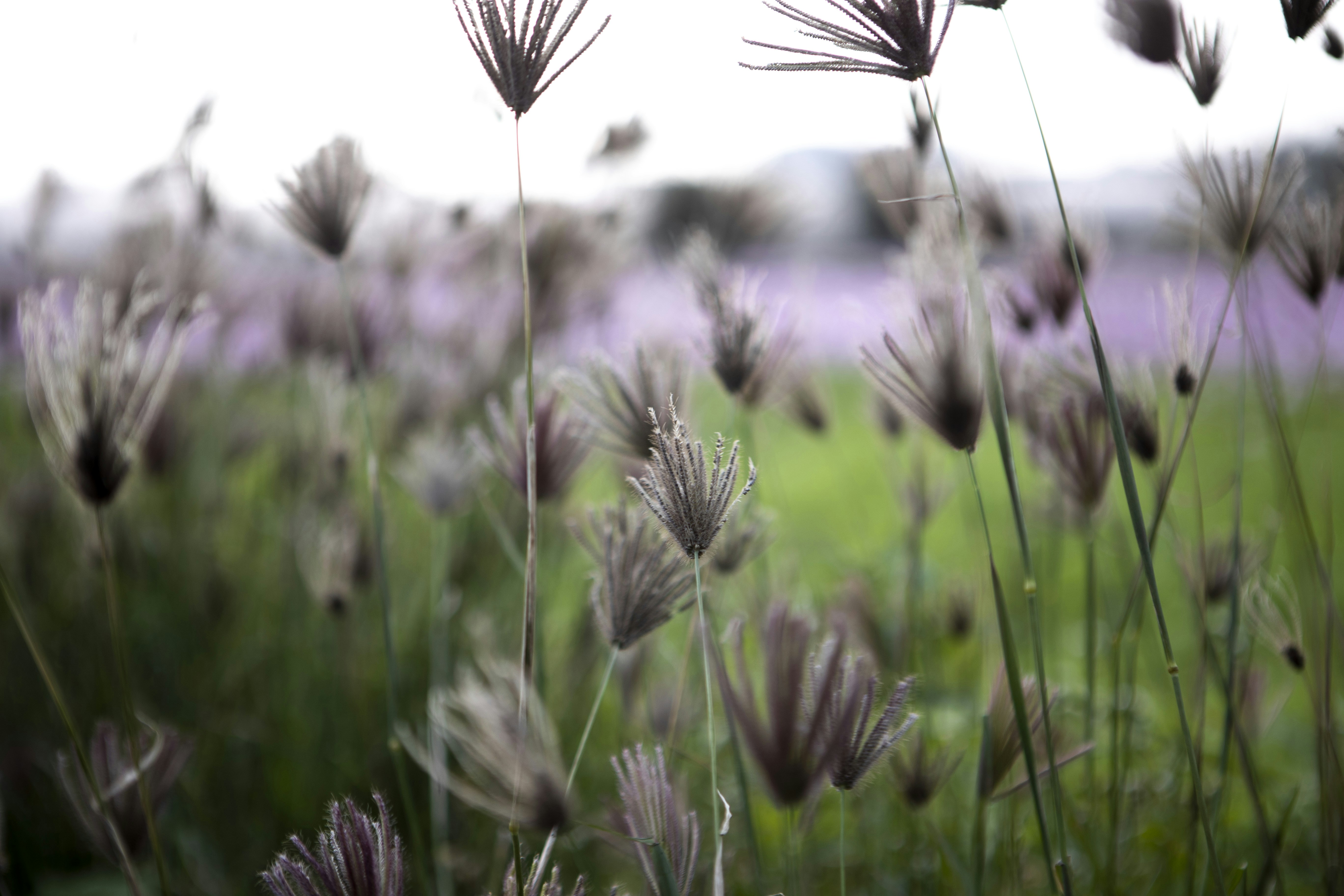 Kozi. H (@kozihuang) | Unsplashフォトコミュニティ