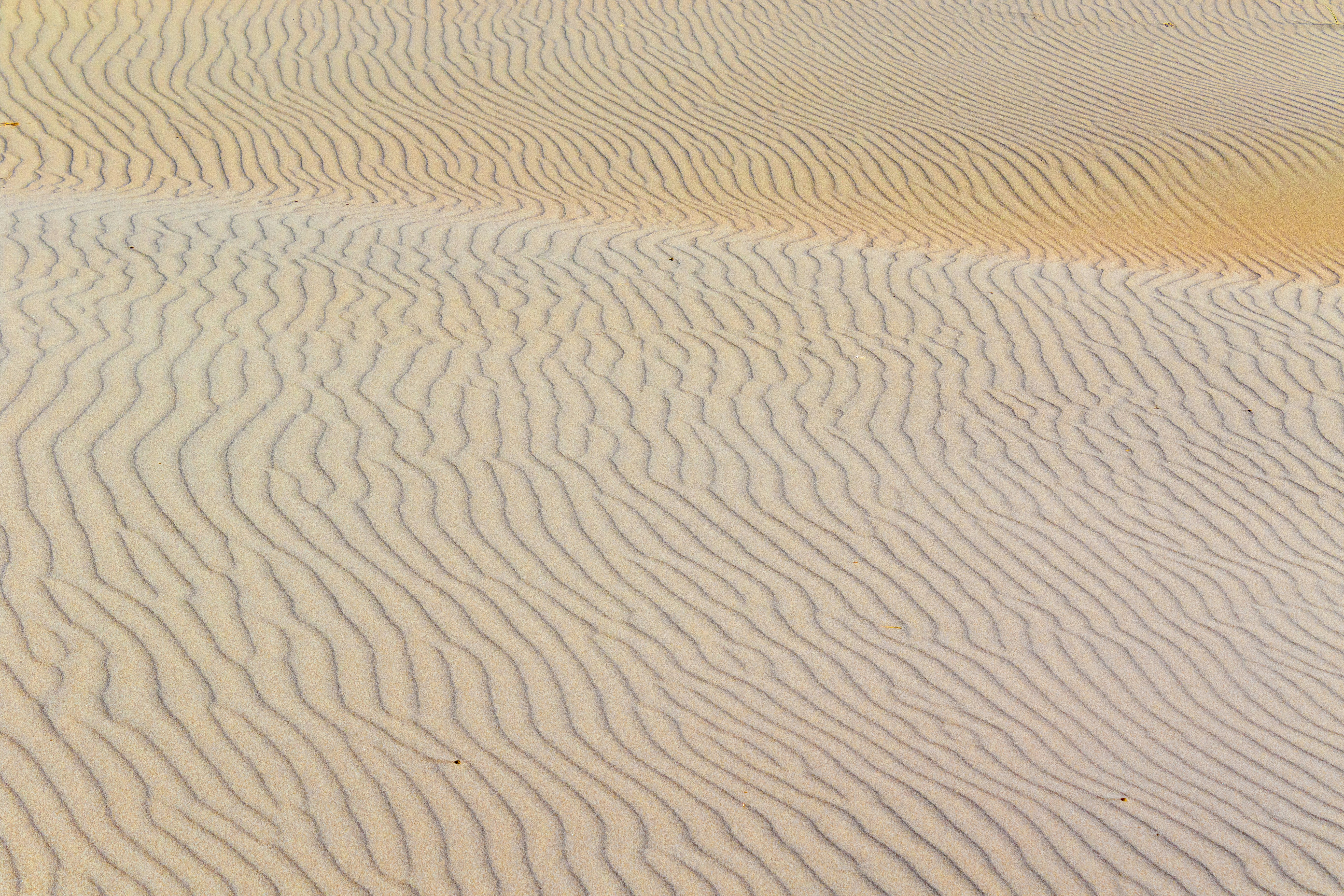 Ripplescape: Wind-etched Dunes in Quiet Light