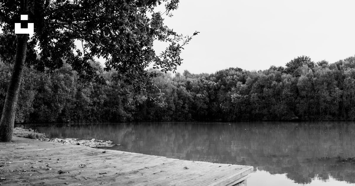 A Wood Dock On A Lake Photo Free Dock Image On Unsplash
