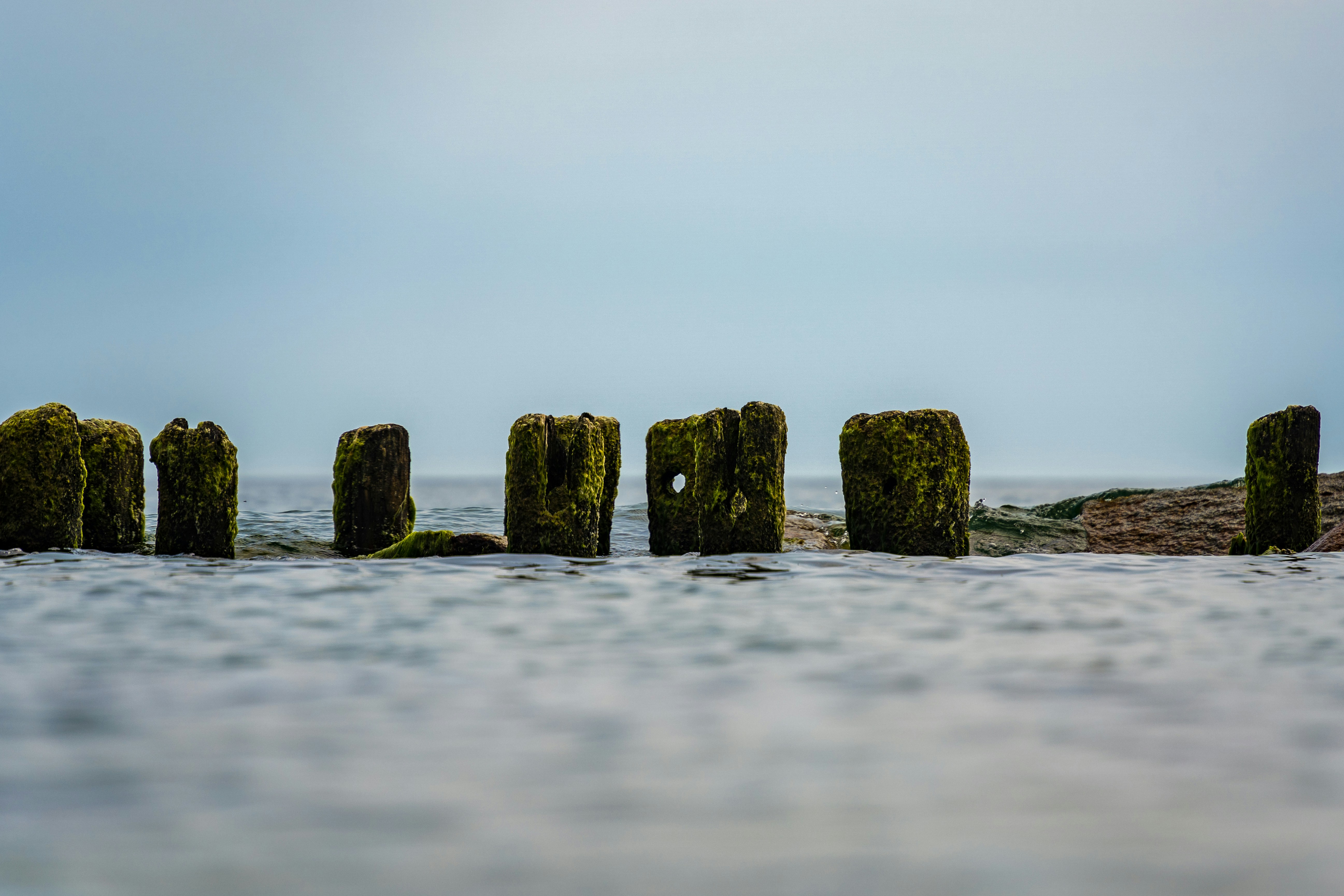 Weathered wooden posts emerging from calm waters, covered in moss, set against a muted sky. The scene evokes a sense of tranquility and history.