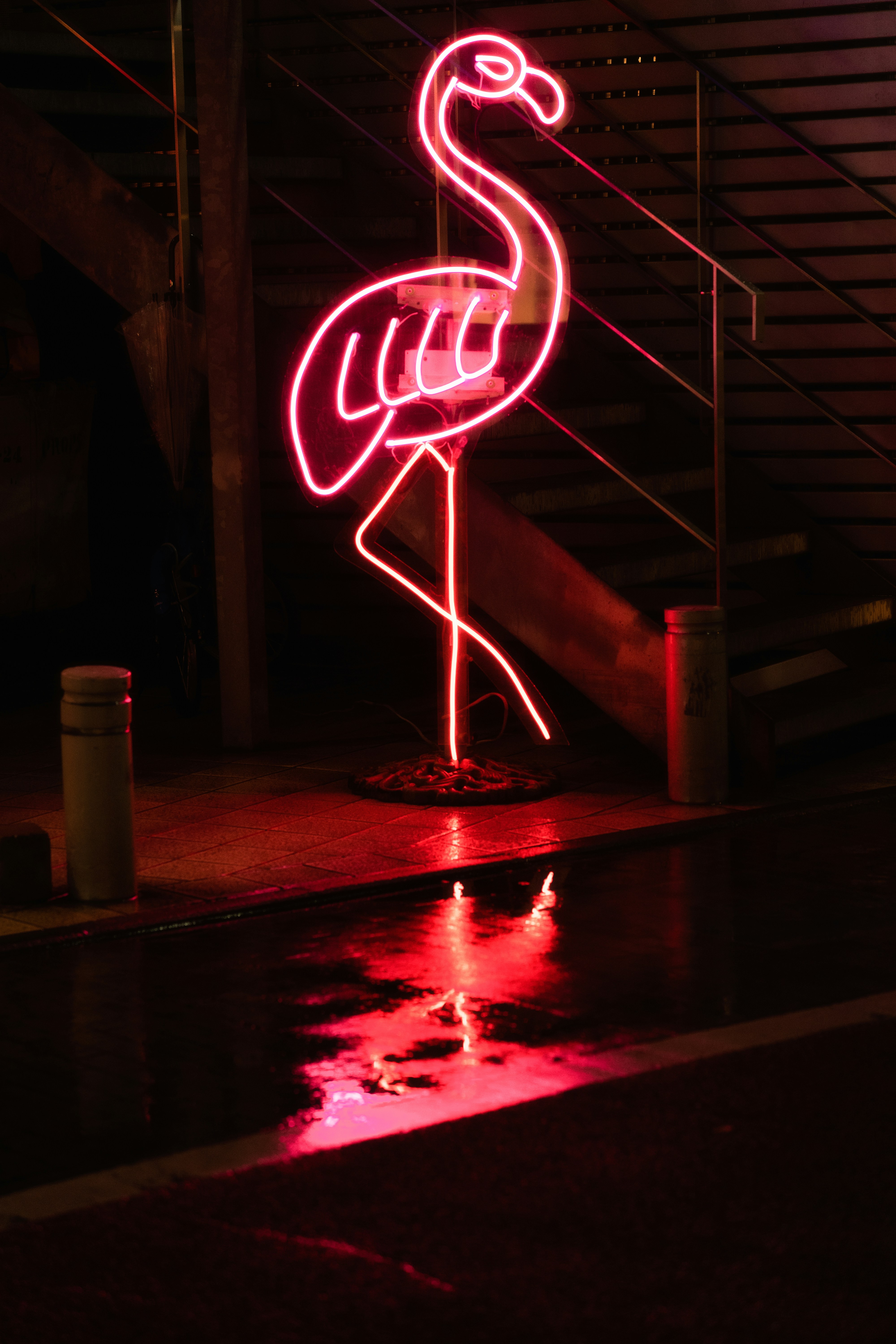 Neon Flamingo Glow Undershop Lights