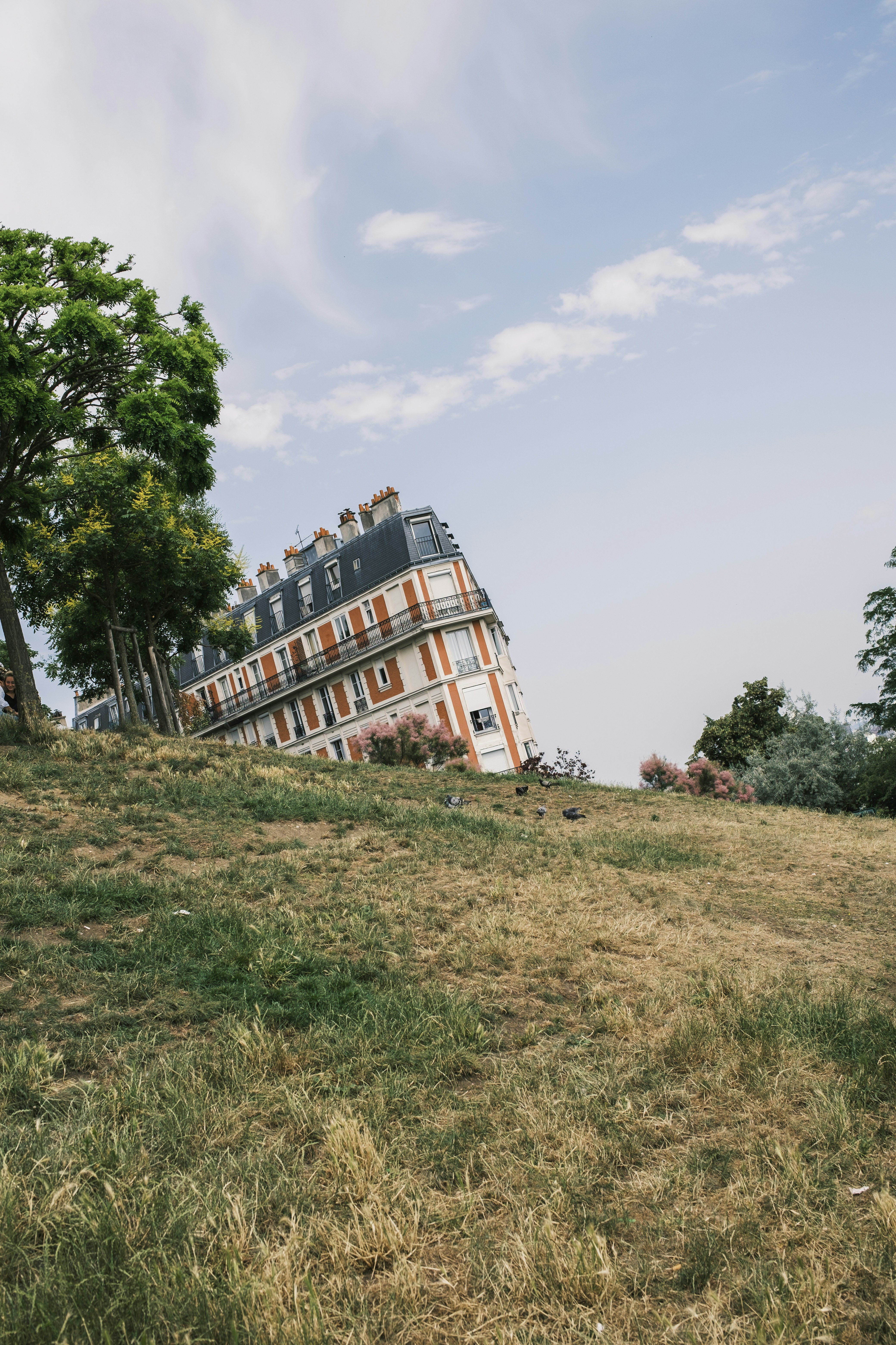 An elegantly designed building tilts on a grassy slope, framed by lush trees under a soft blue sky.