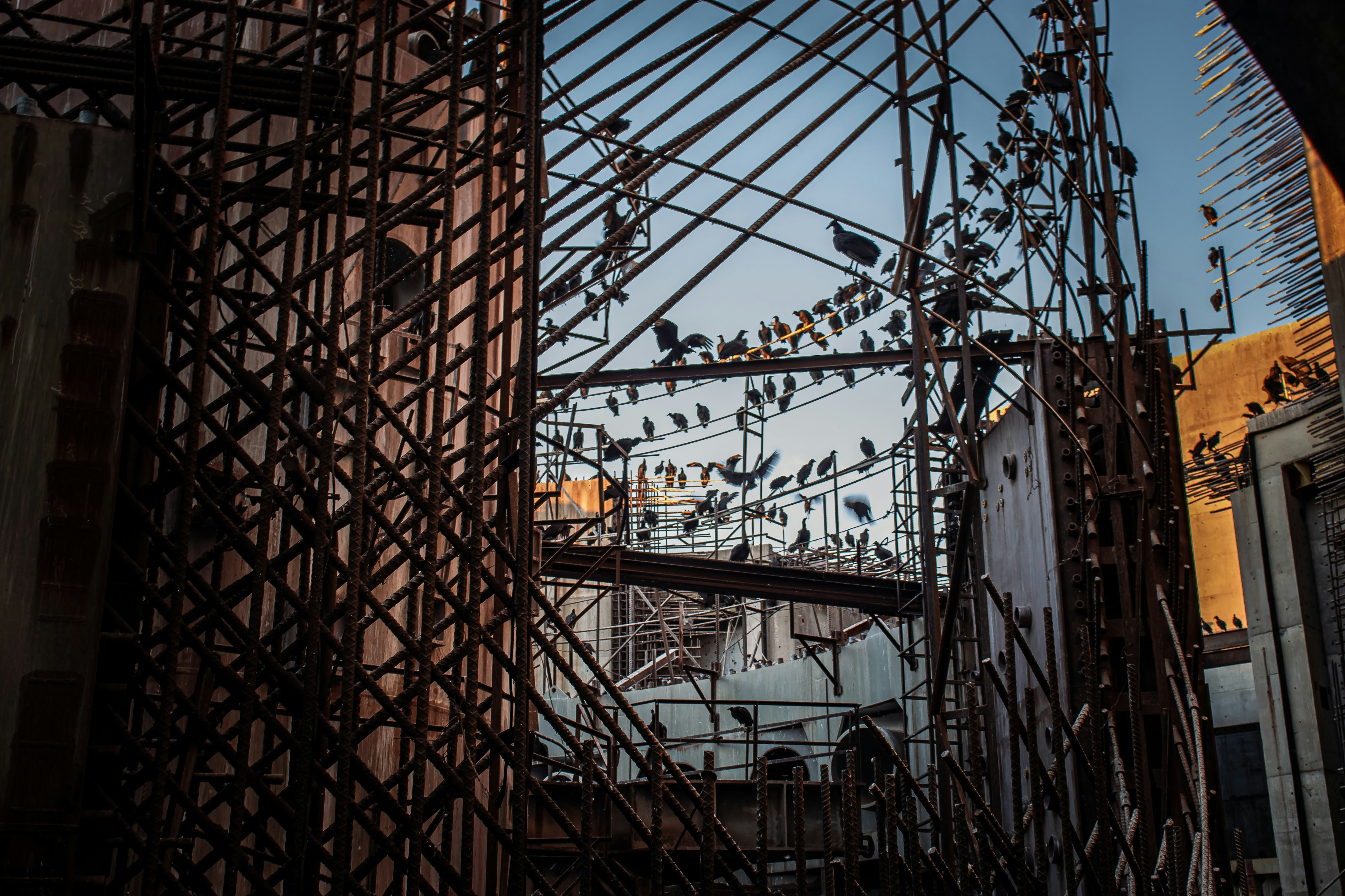 a metal fence with a building in the background