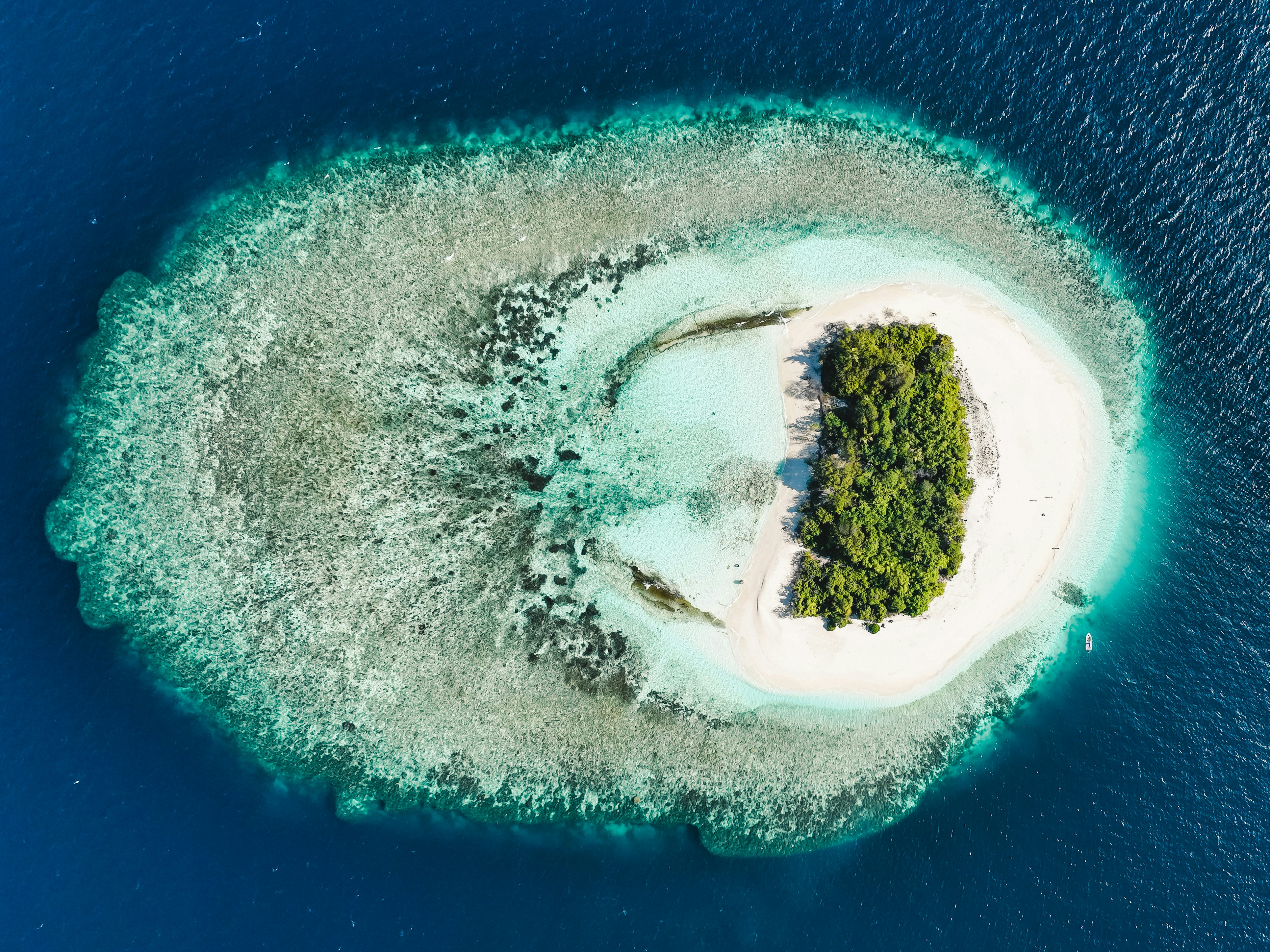 A small island with a small island photo – Free Maldives Image on Unsplash