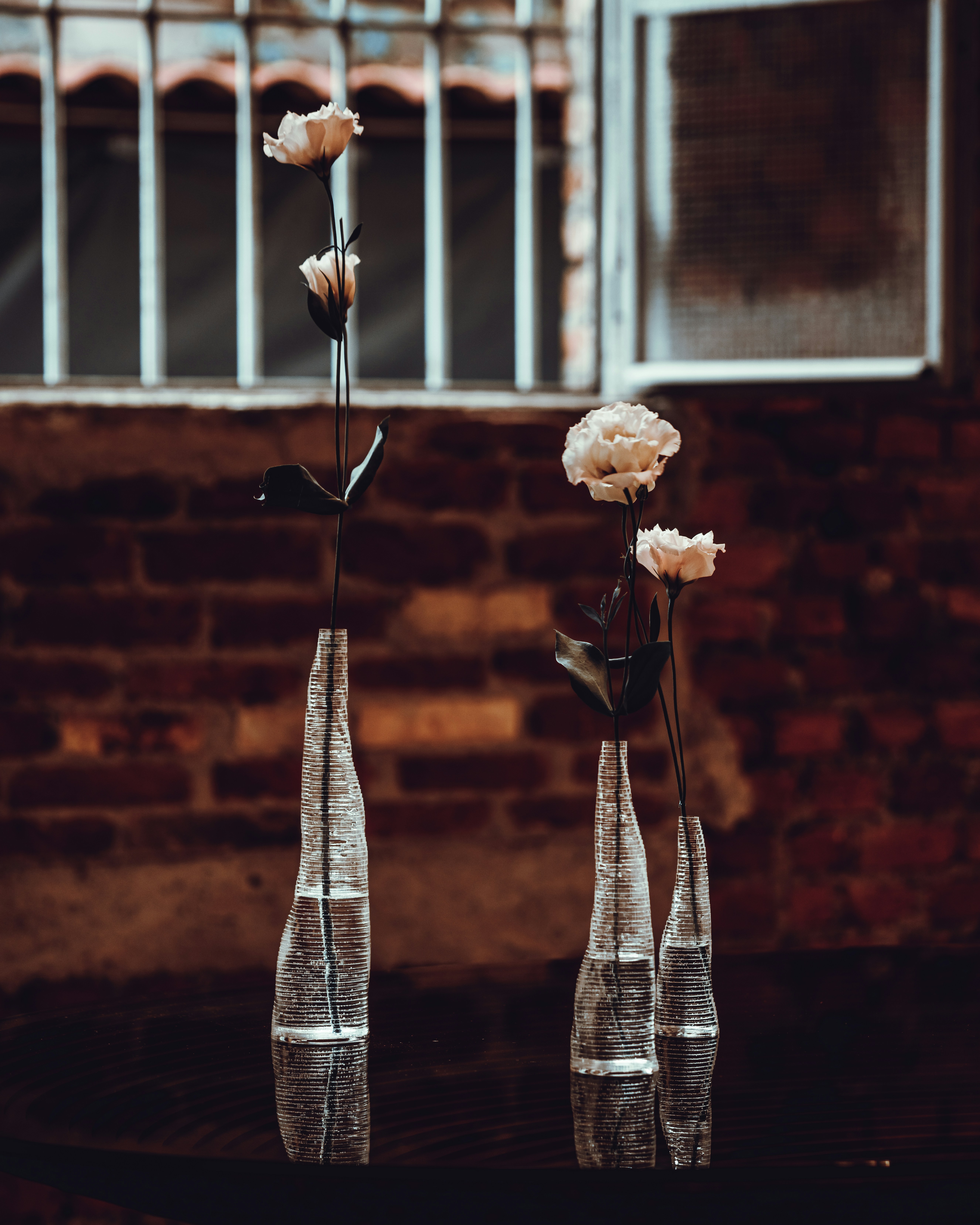Whispering Roses in Glass: A Quiet Still Life Against Weathered Brick