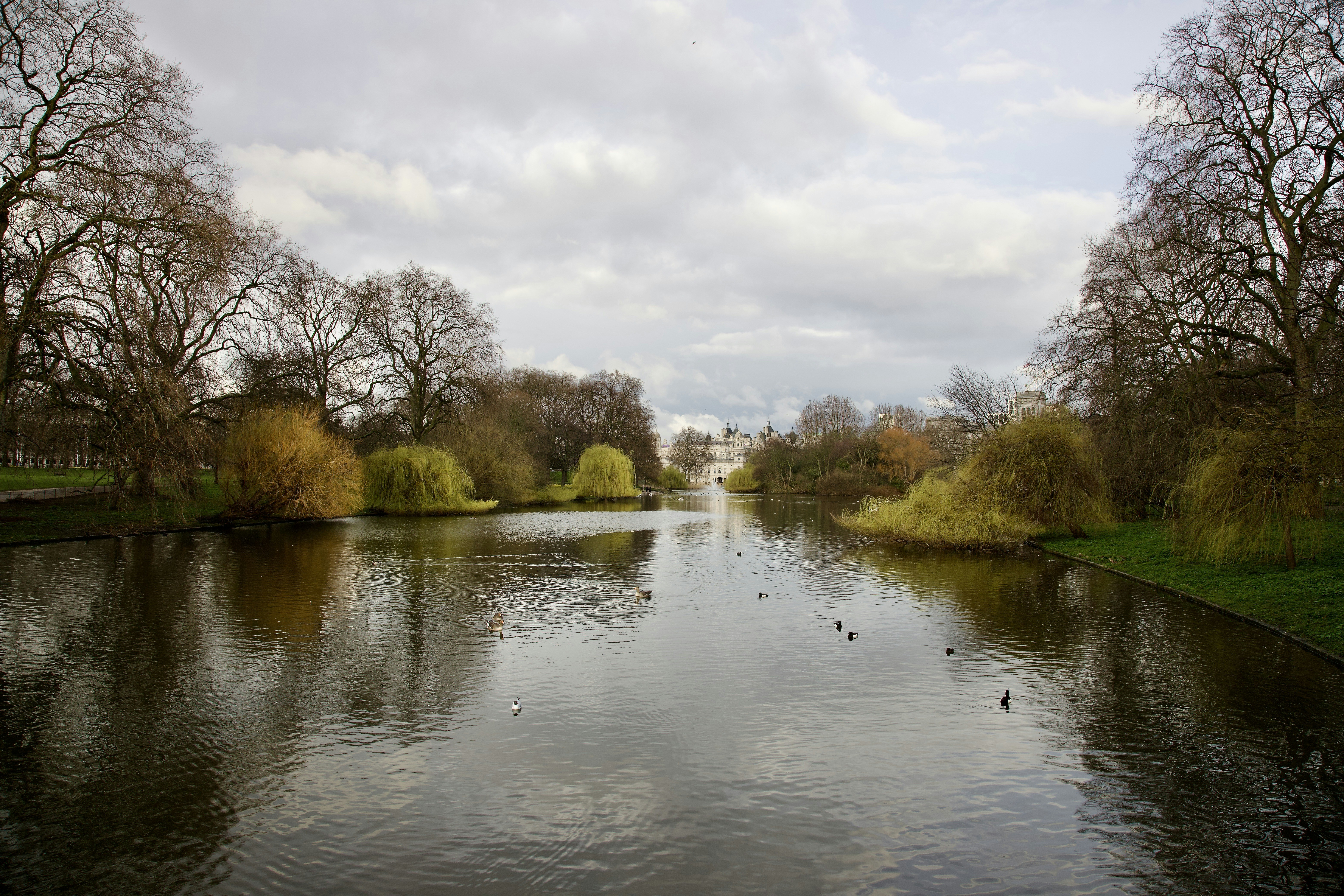 Centered Horizon: A Winter-Leaf River Path through a Tree-Framed Park