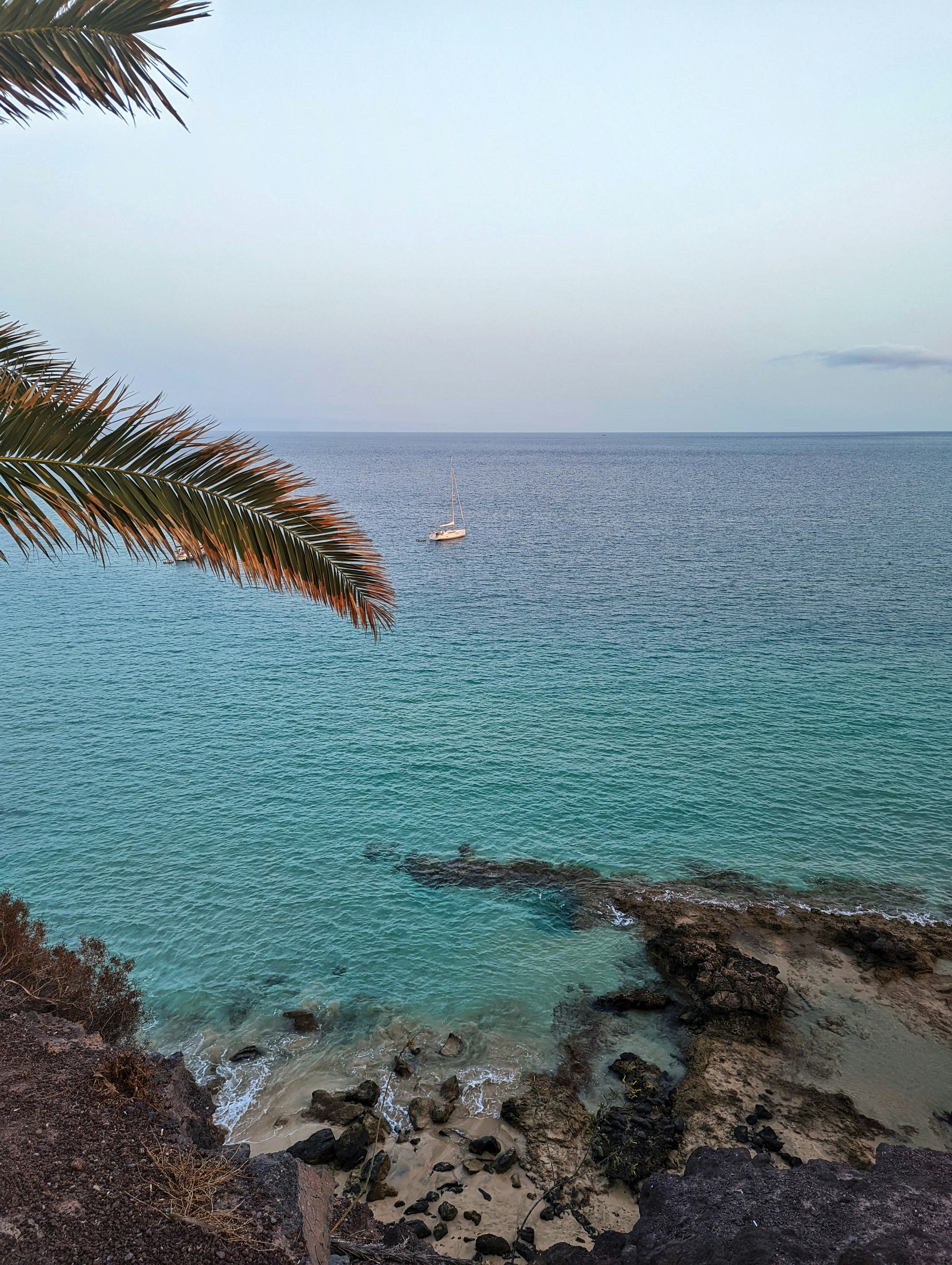 Sunlit coastal scene with turquoise water, rocky shore, and a lone sailboat near the horizon, framed by arching palm fronds.
