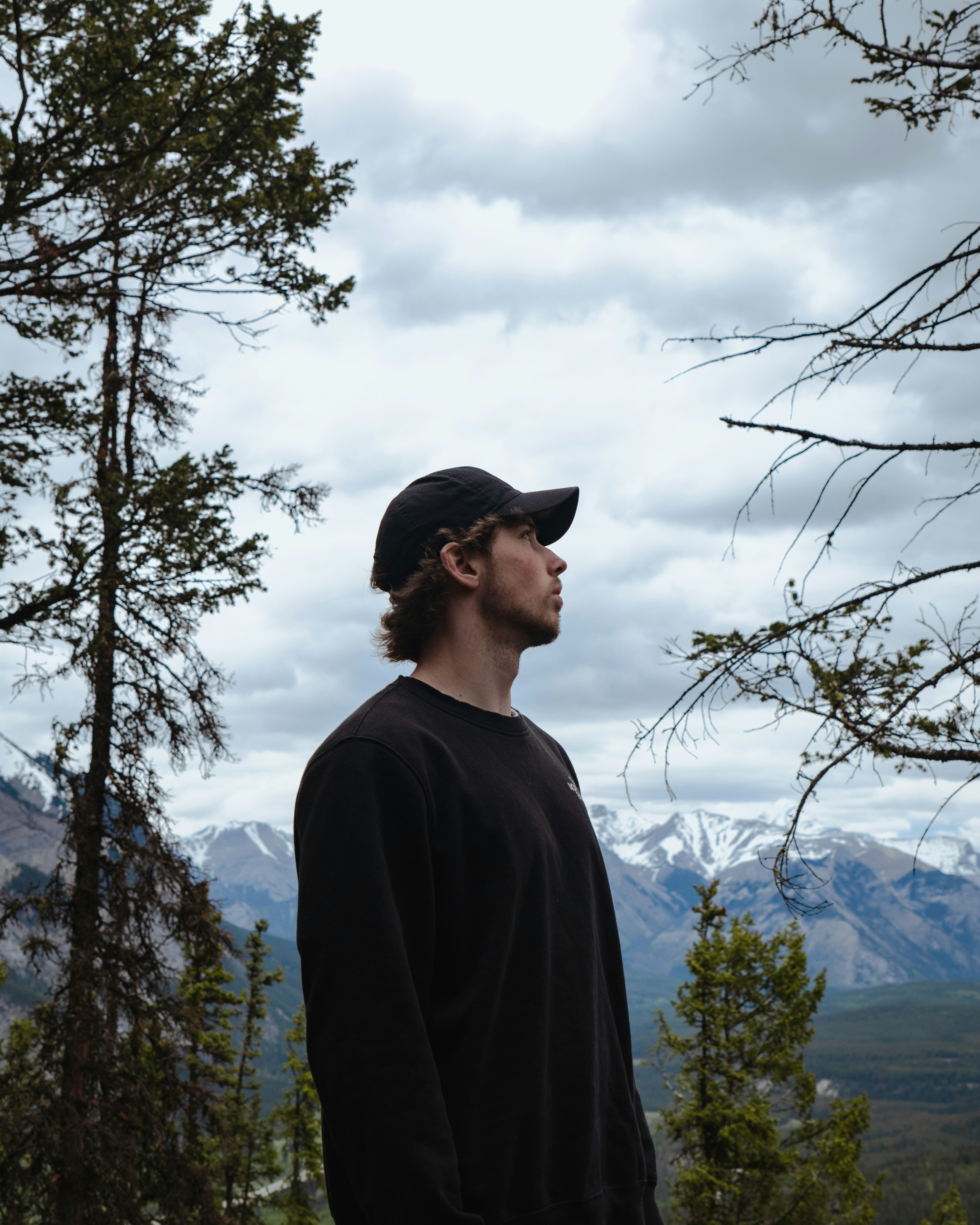 Profile Under Pines: A Solo Hiker Before Snow-Capped Peaks