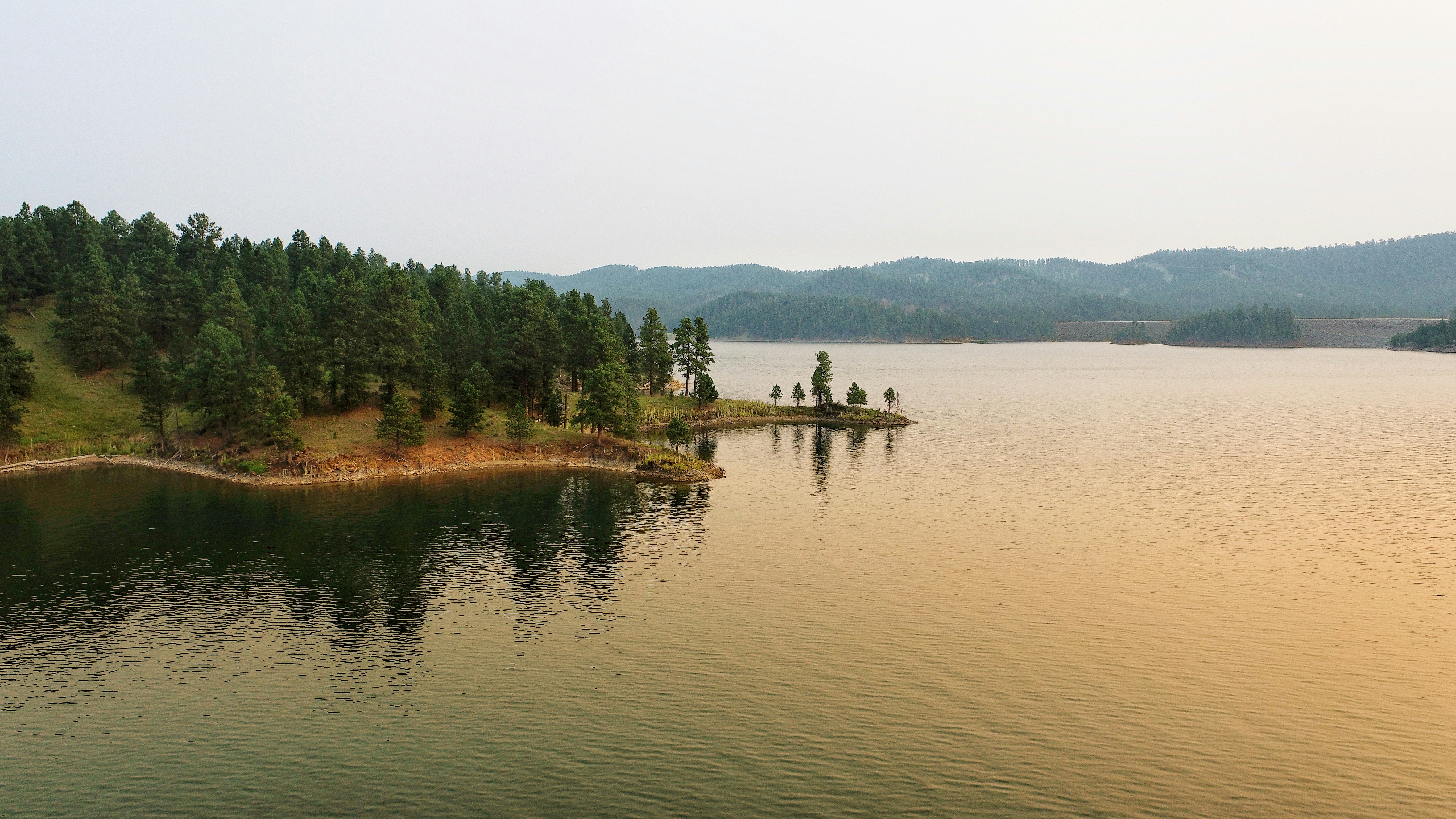 A body of water with trees on the side photo – Free Pactola lake Image ...