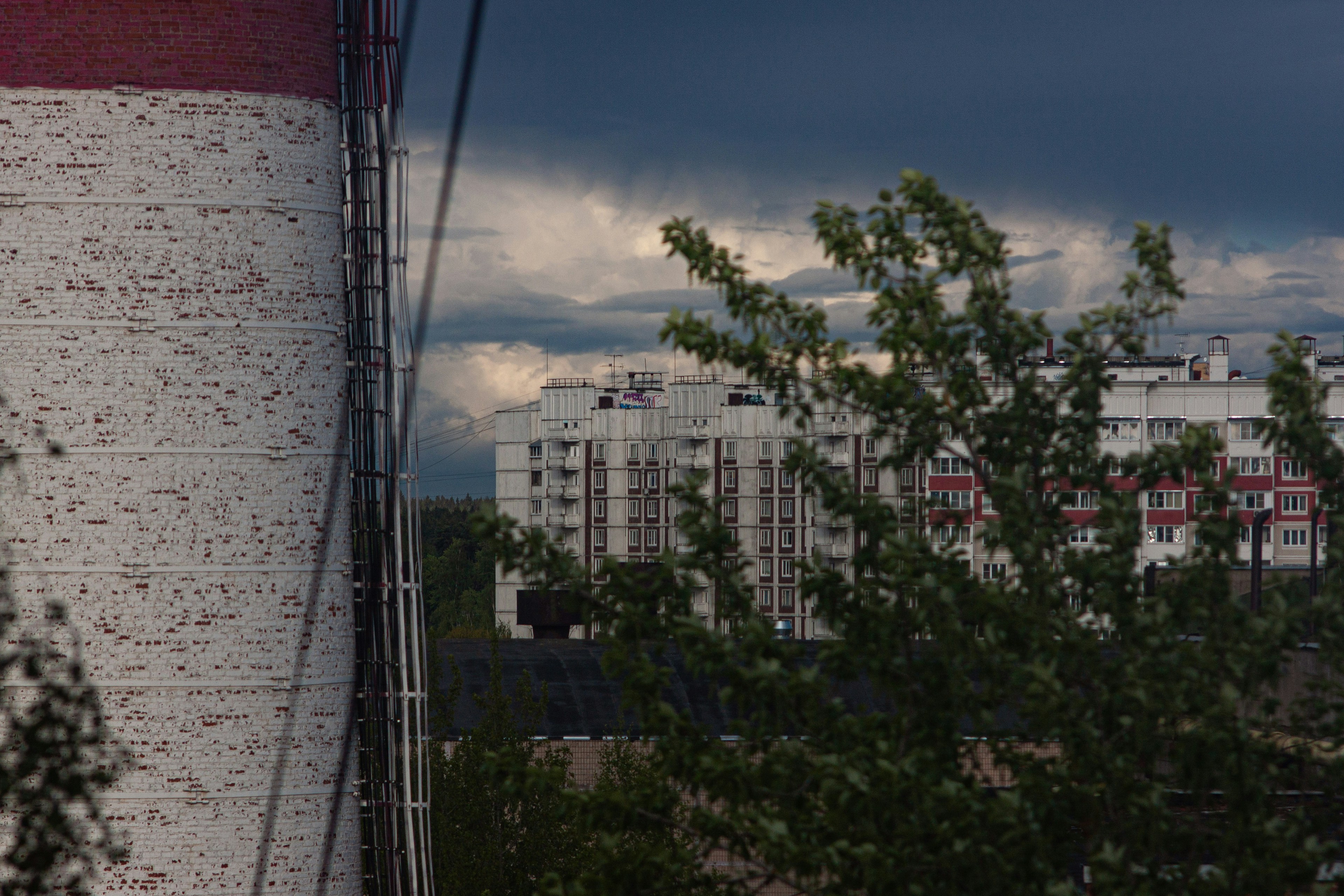 Urban Edges: A High-Rrise Palm, Concrete and Sky