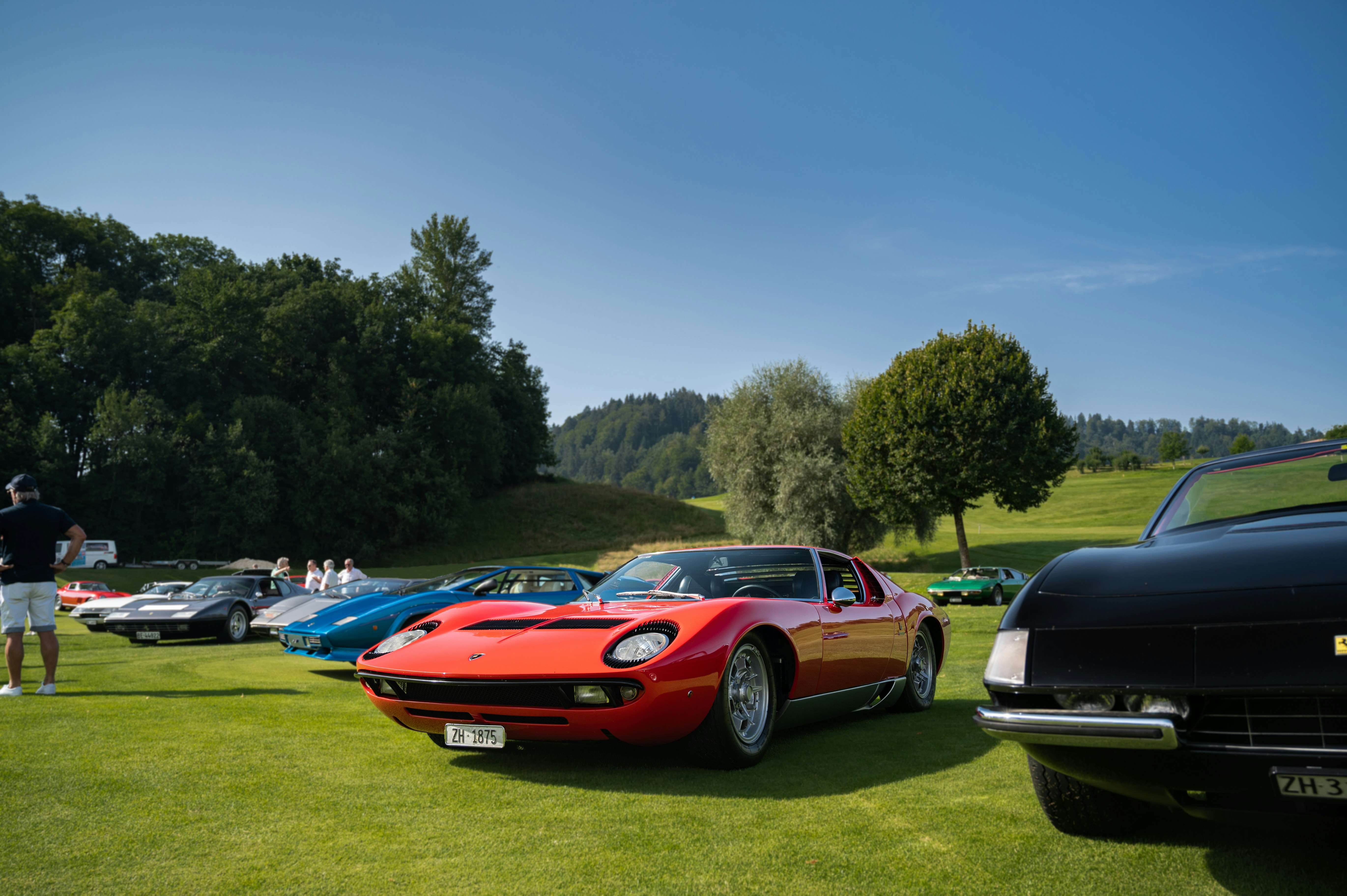 Classic sports cars displayed on a lush green lawn under a clear blue sky.