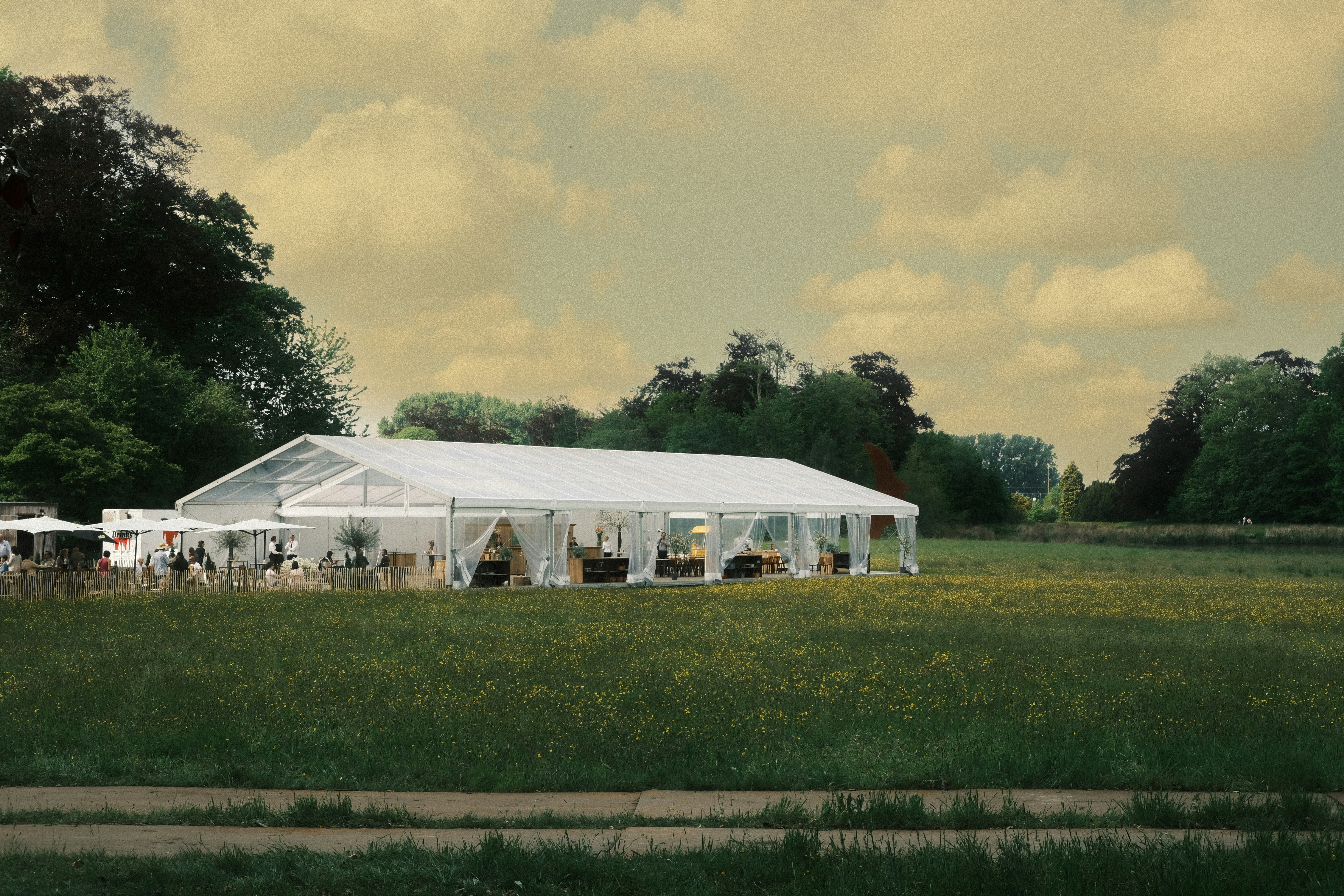 White marquee in a sunlit meadow framed by trees