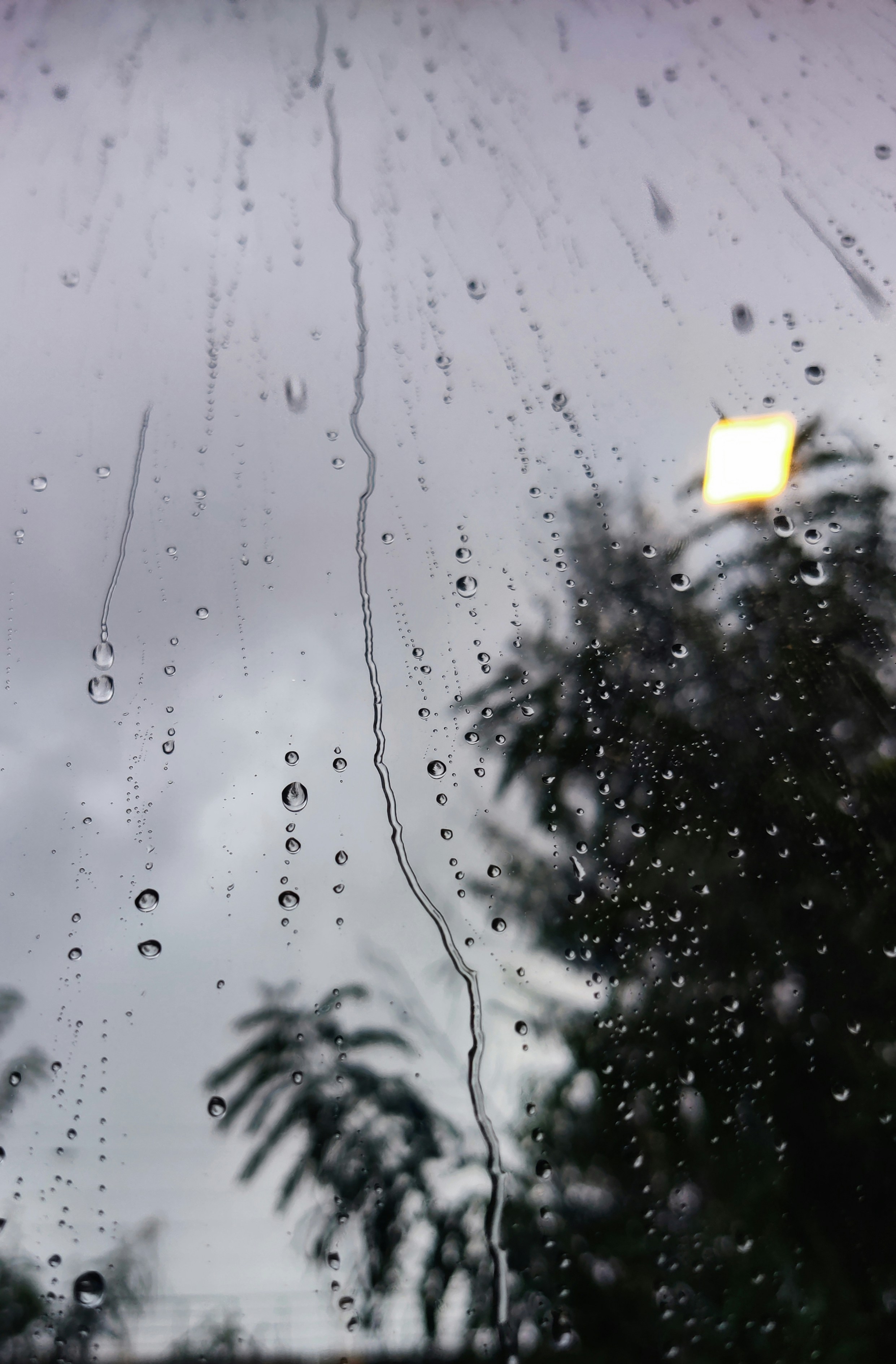 Tumblr Photography Rain