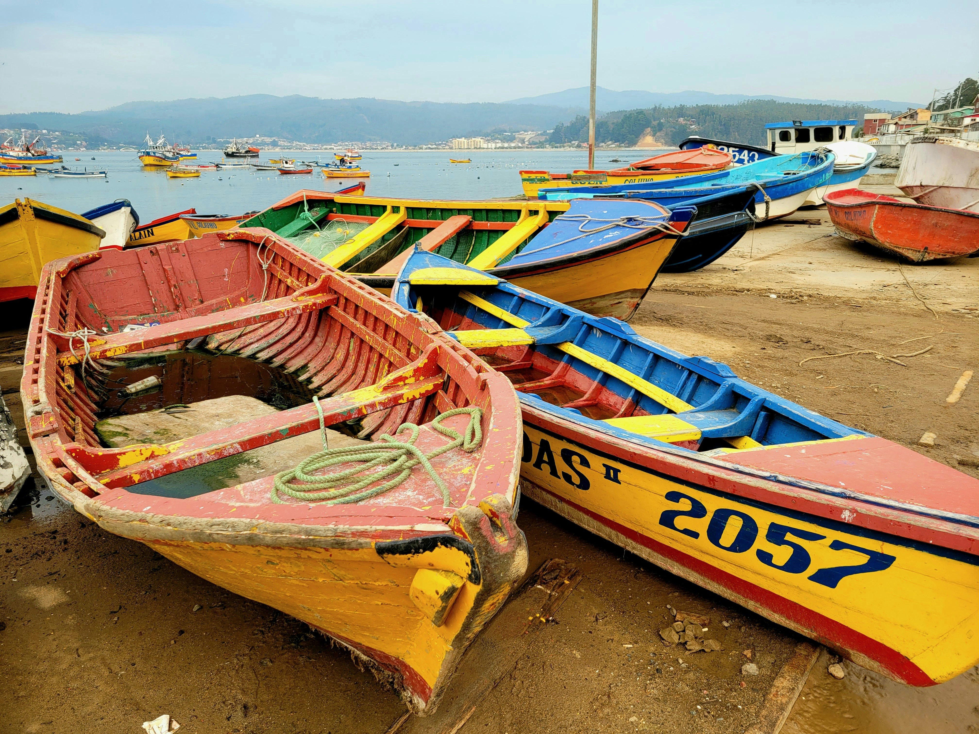 Killari Hotaru (@killari_hotaru) | Comunidade de fotos da Unsplash