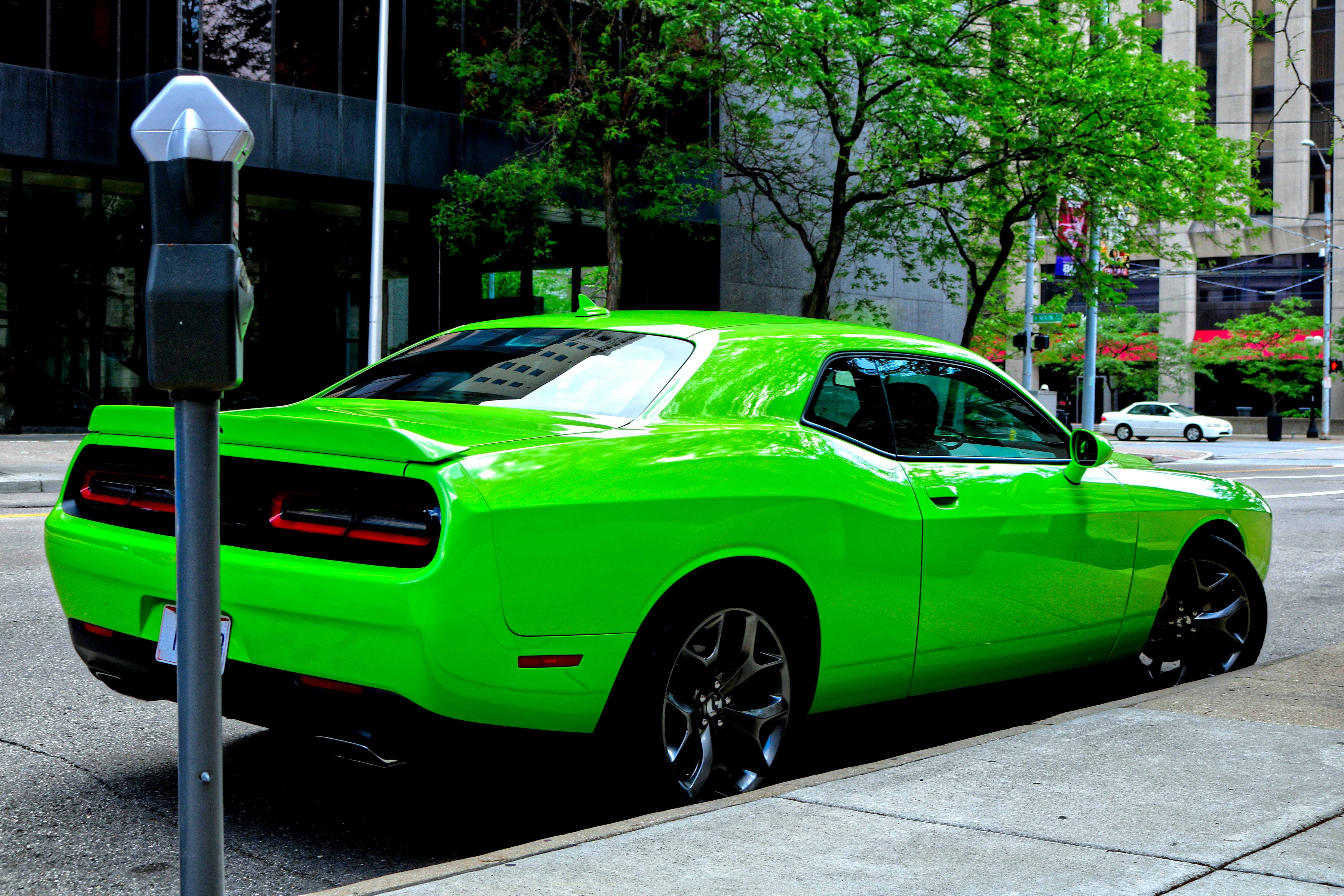 Bright green sports car parked next to a city sidewalk under a leafy tree.
