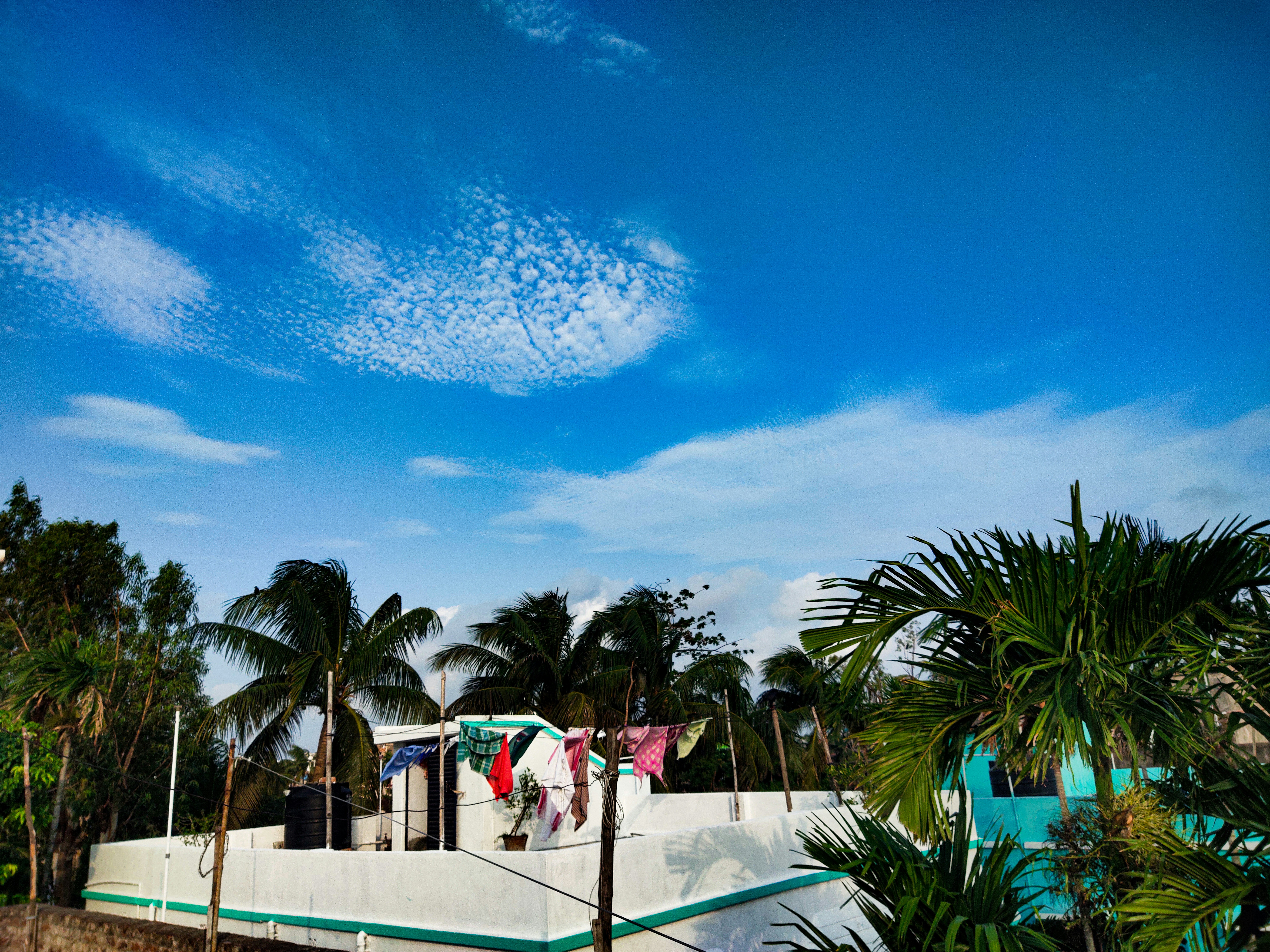 Palm trees frame a white building with colorful accents against a vibrant blue sky.