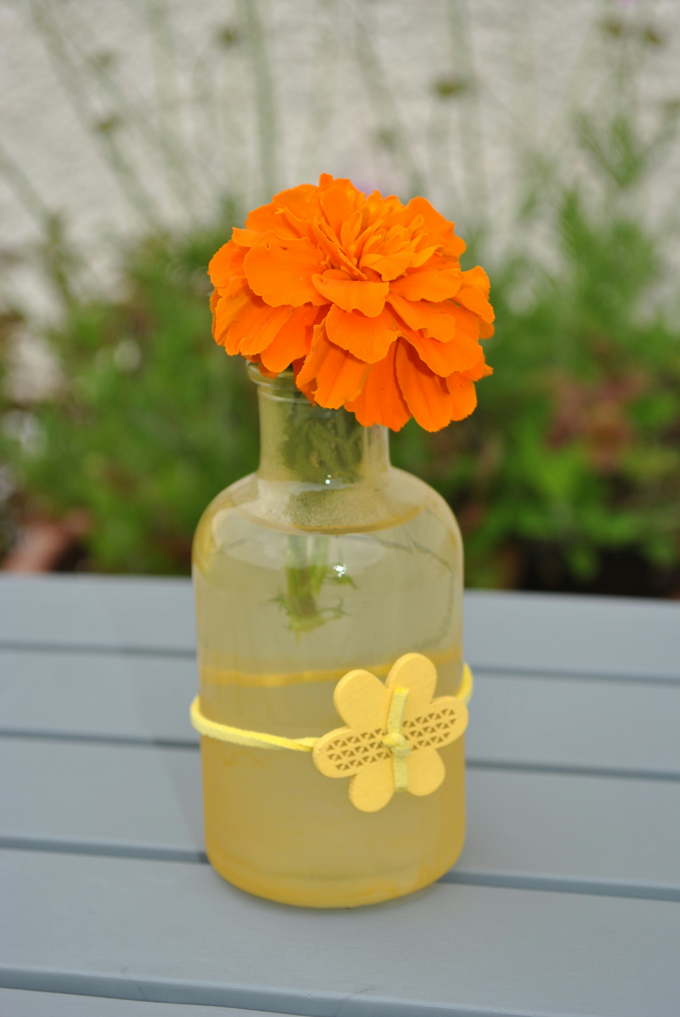 a flower in a vase