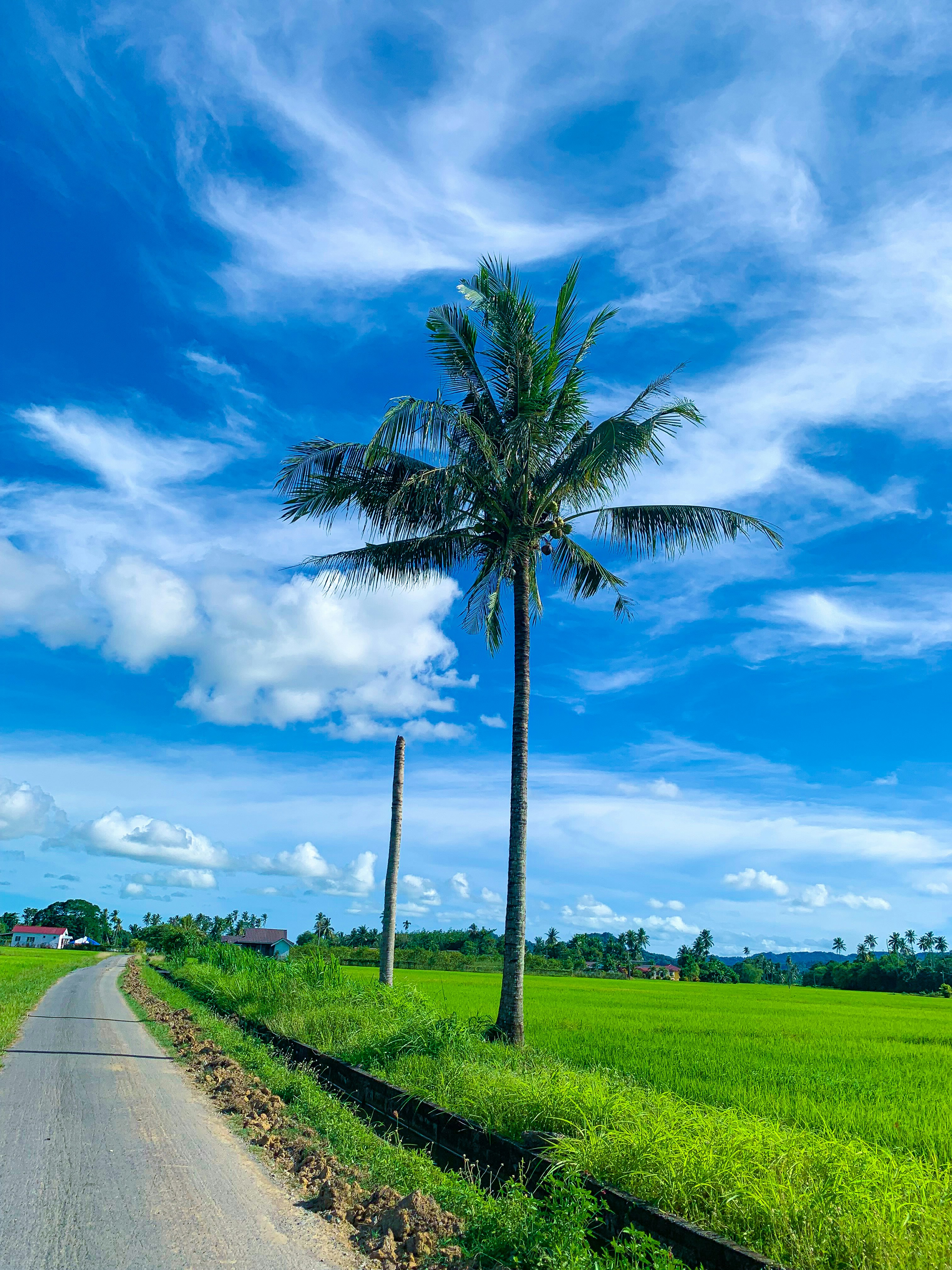 Kangar Photos | Télécharger des images gratuites sur Unsplash