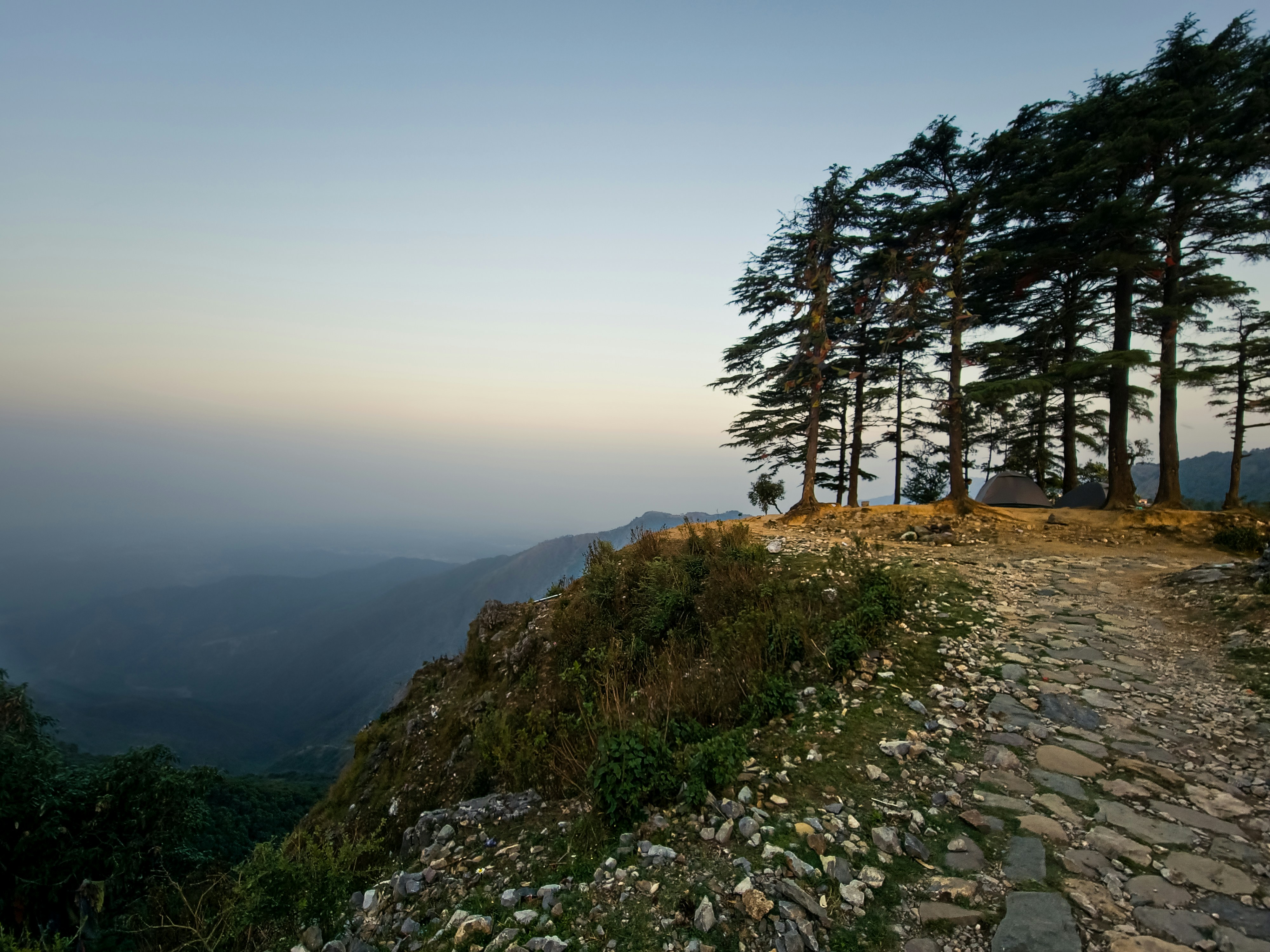 Cliffside Path at Dusk: Pines Hold Watch Over the Mountain