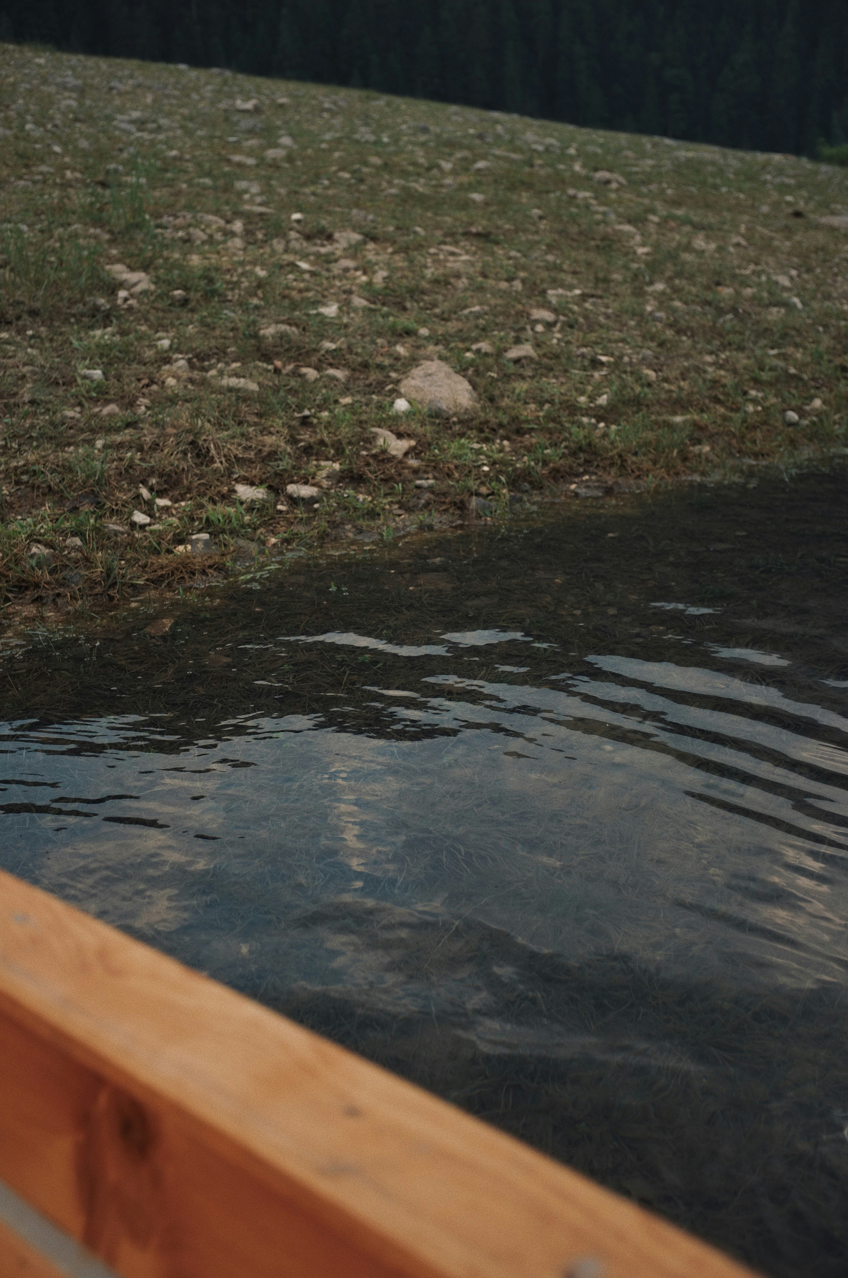 Rhodopy Ridge: Quiet Timber, Gentle Ripples on a Lakeside edge