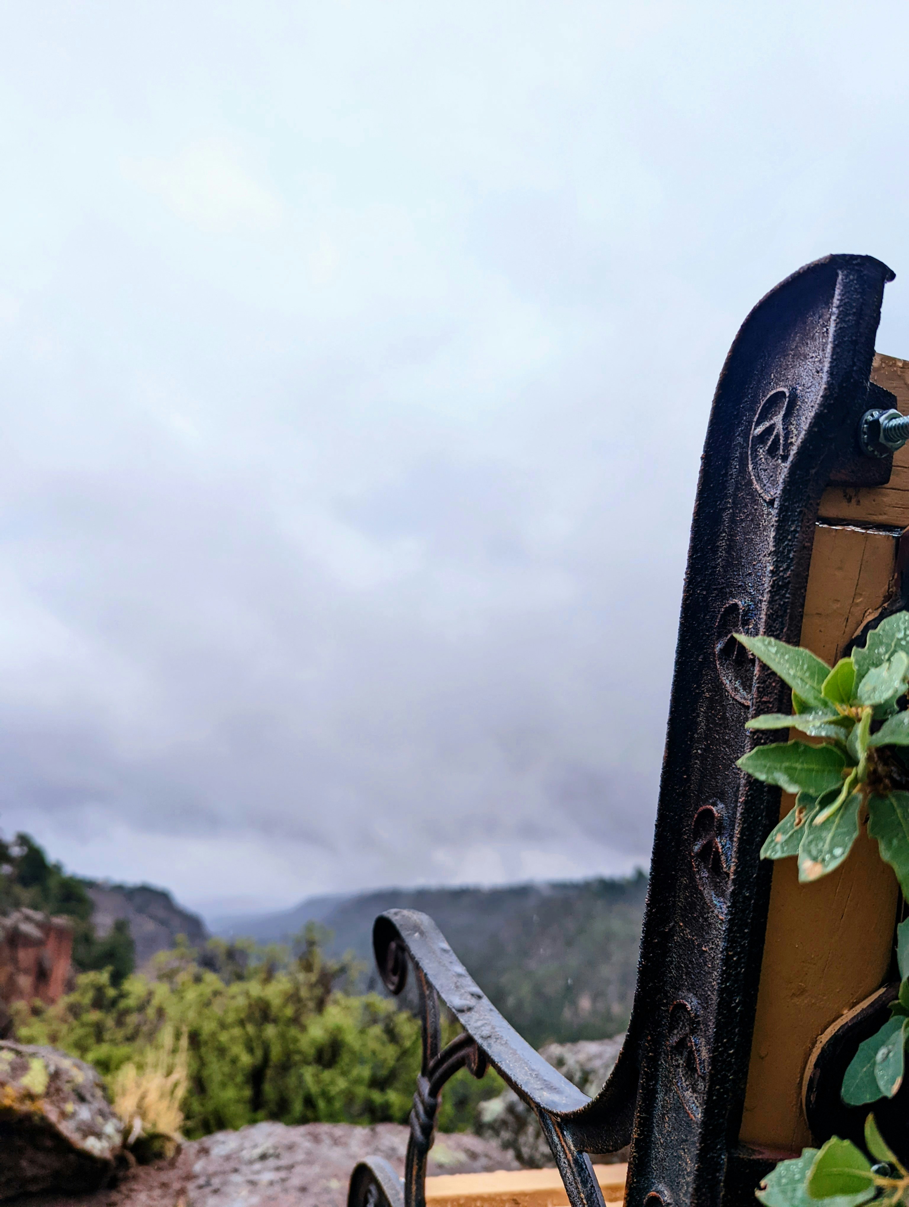 A bench looking out across an endless canyon in the rain.