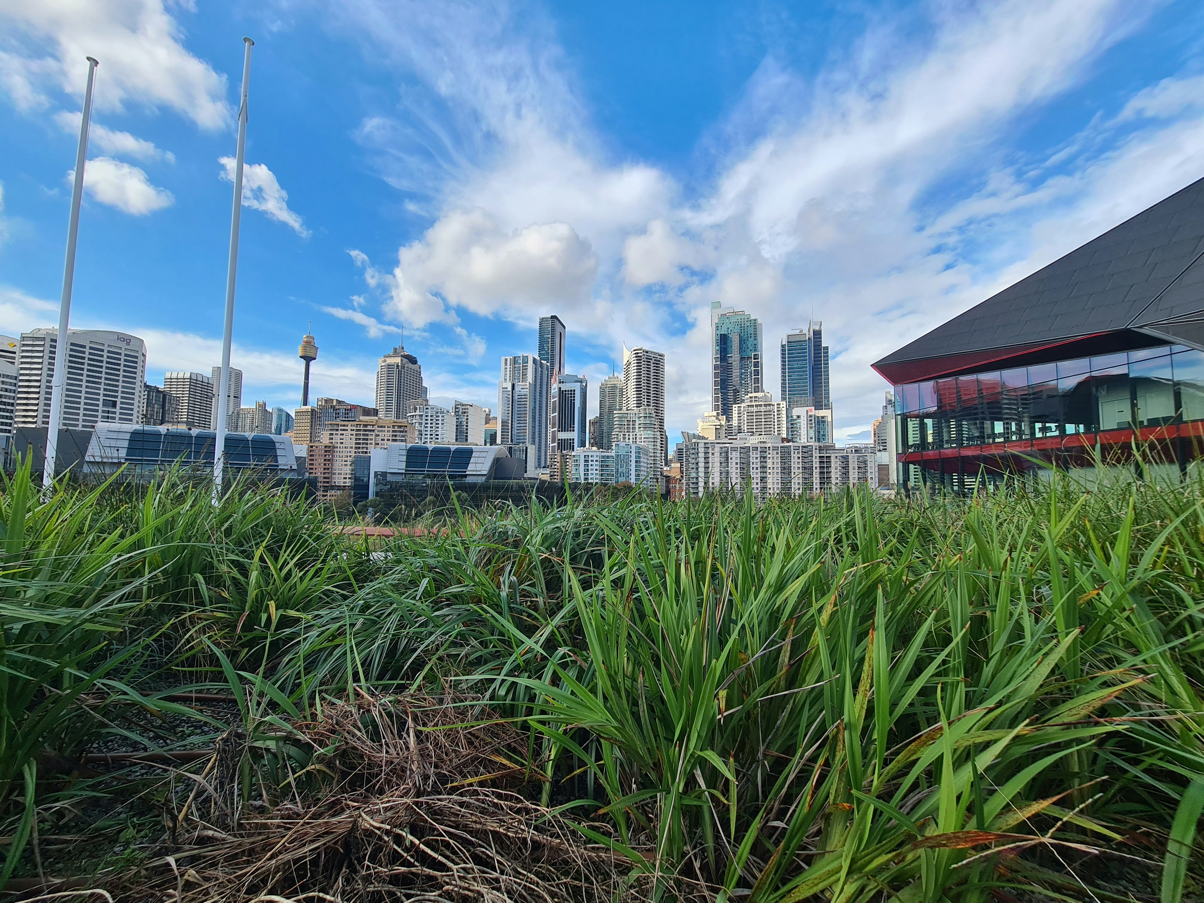an urban portrayal of the city of Sydney.