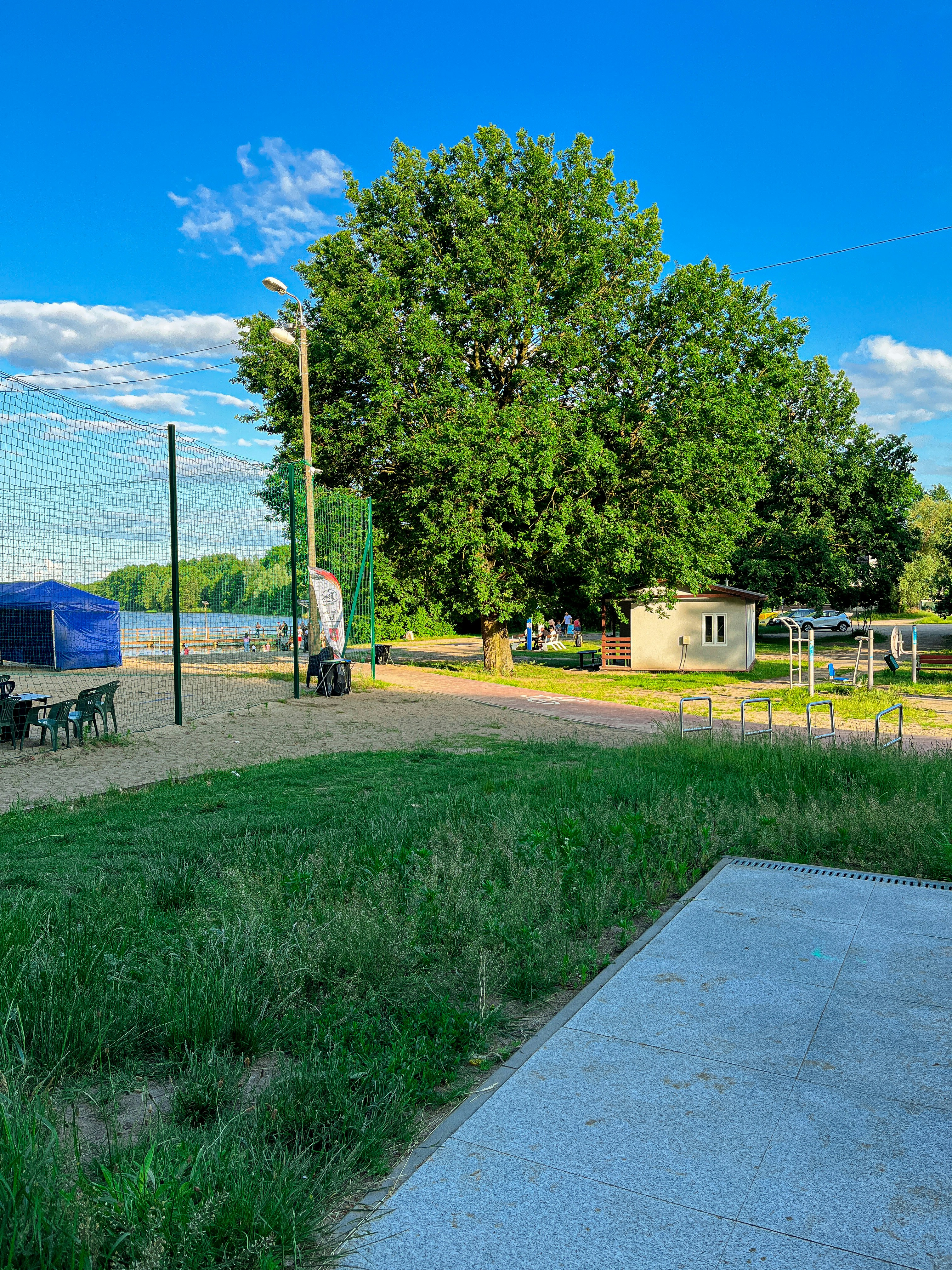 Lush green tree and grassy yard with a small trailer and clear blue sky.