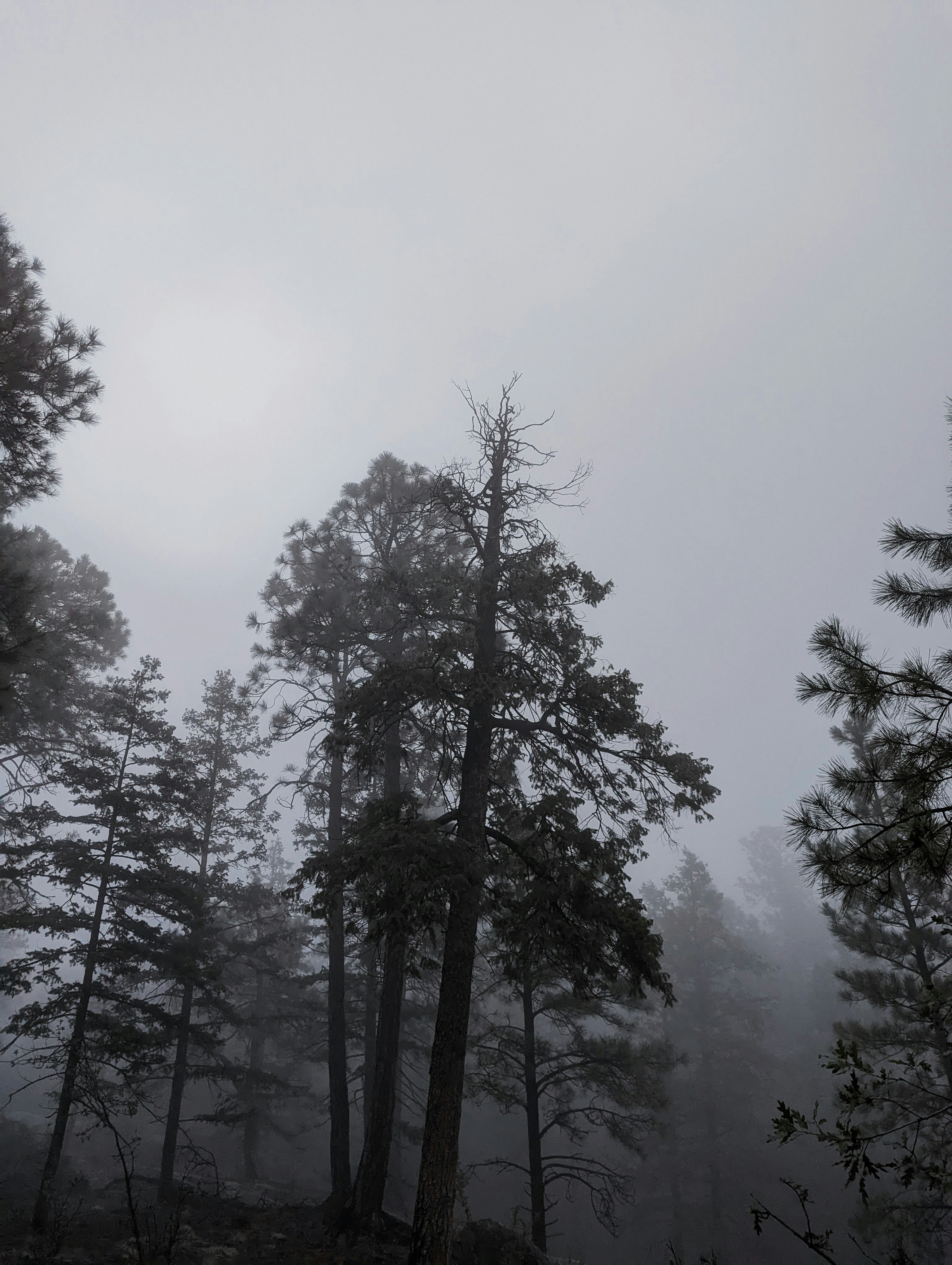 A rainy day looking out into the thick clouds passing by.