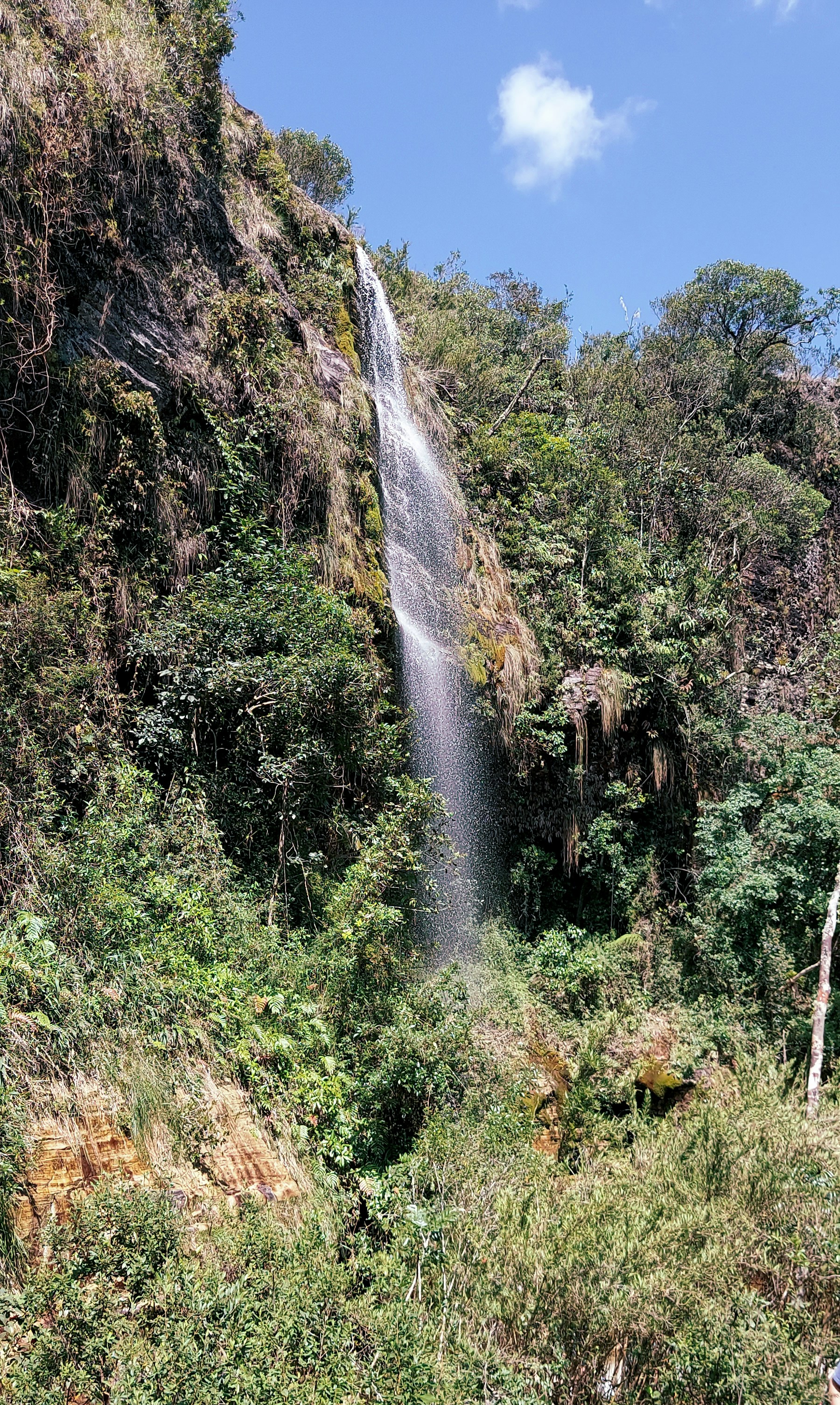 A photograph captures a tall waterfall cascading down a mossy cliff, framed by dense forest beneath a bright blue sky.