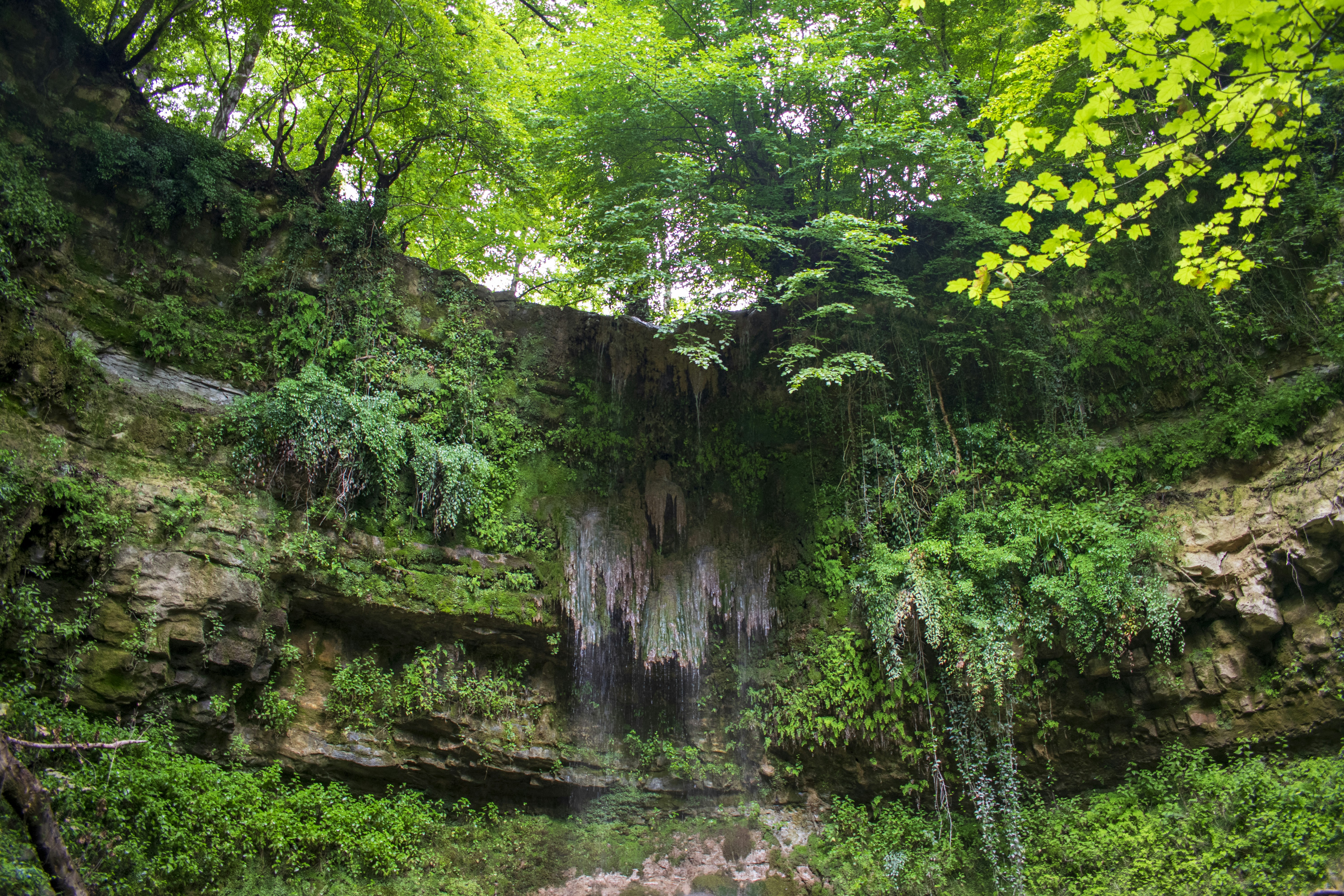 Verdant Cliff Cascade: a moss-draped waterfall in dappled light
