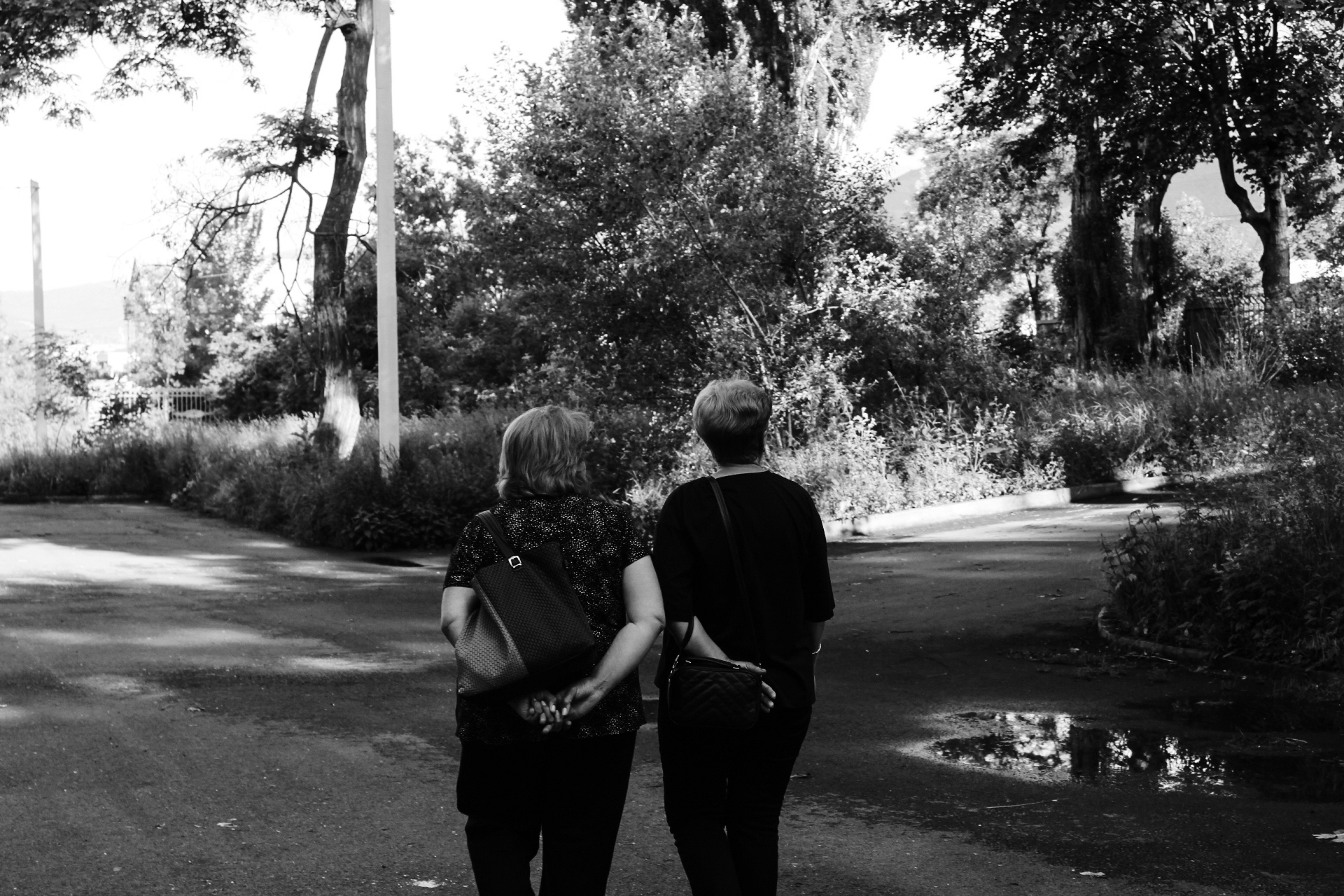 Two women walk down a tree-lined path in Vanadzor Park, casting long shadows in the sunlight.