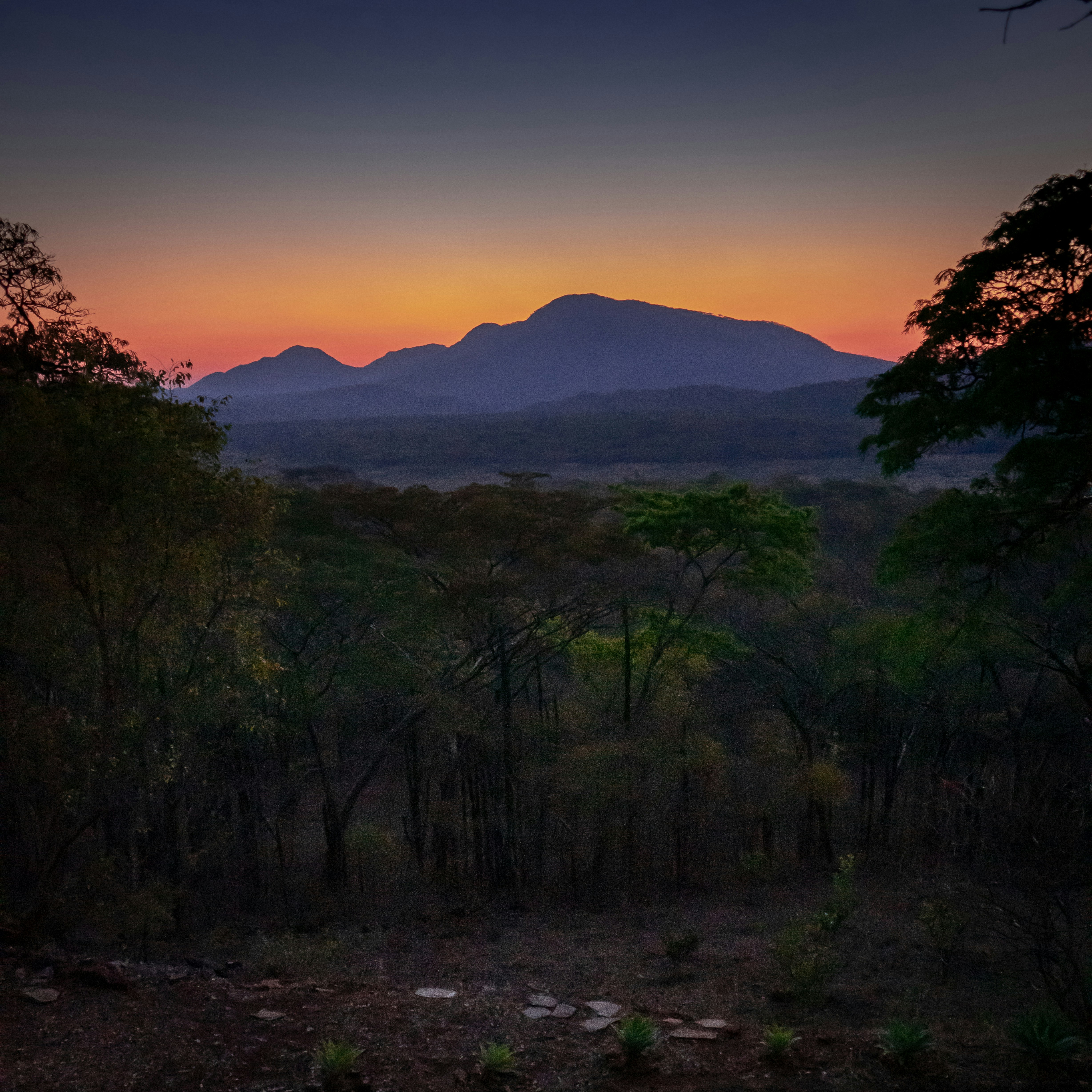 Silhouette of distant mountains under a gradient twilight sky, framed by lush foliage in the foreground.
