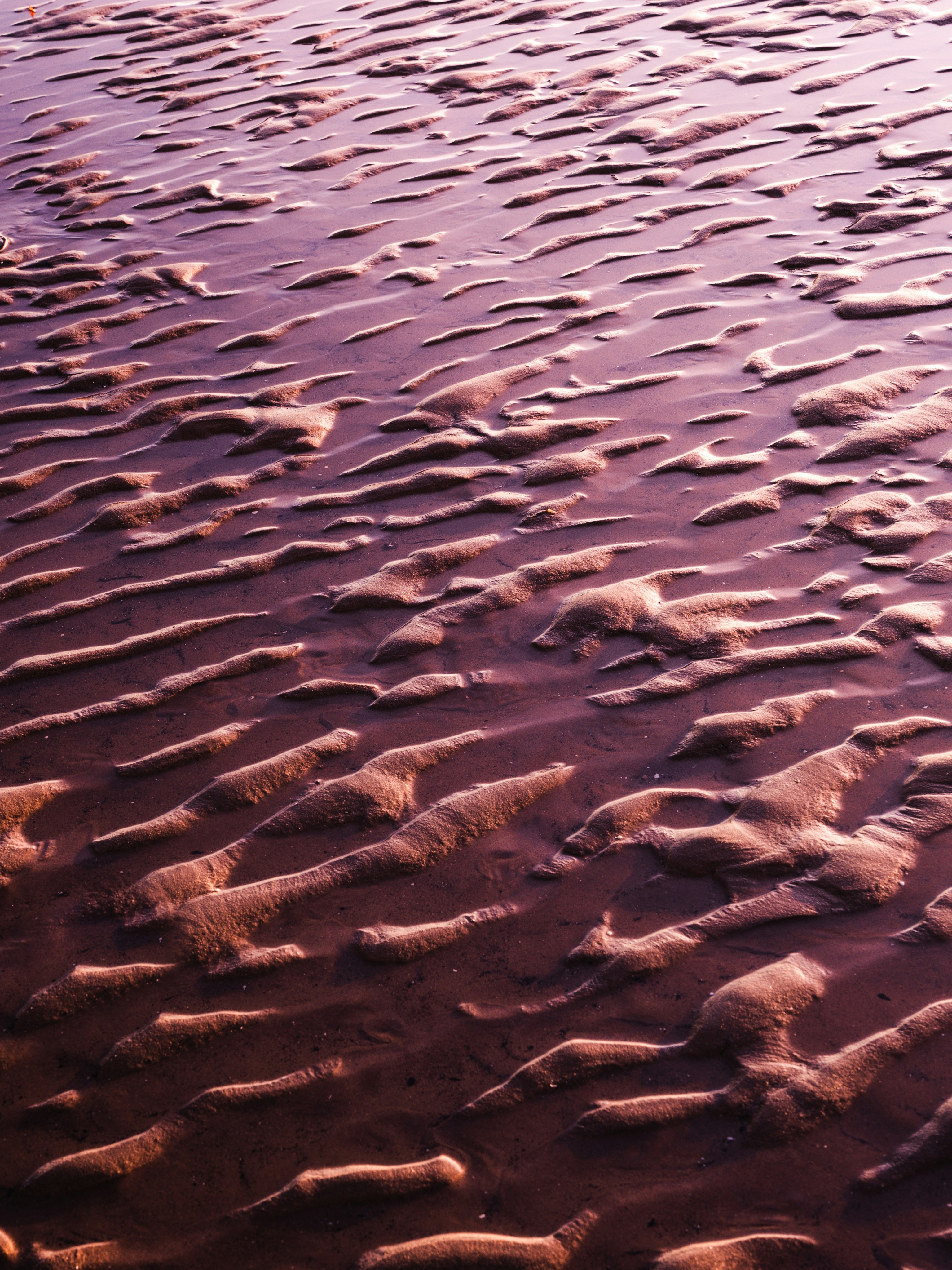 Textured patterns of sand and water create a mesmerizing surface in a tidal zone at sunset.