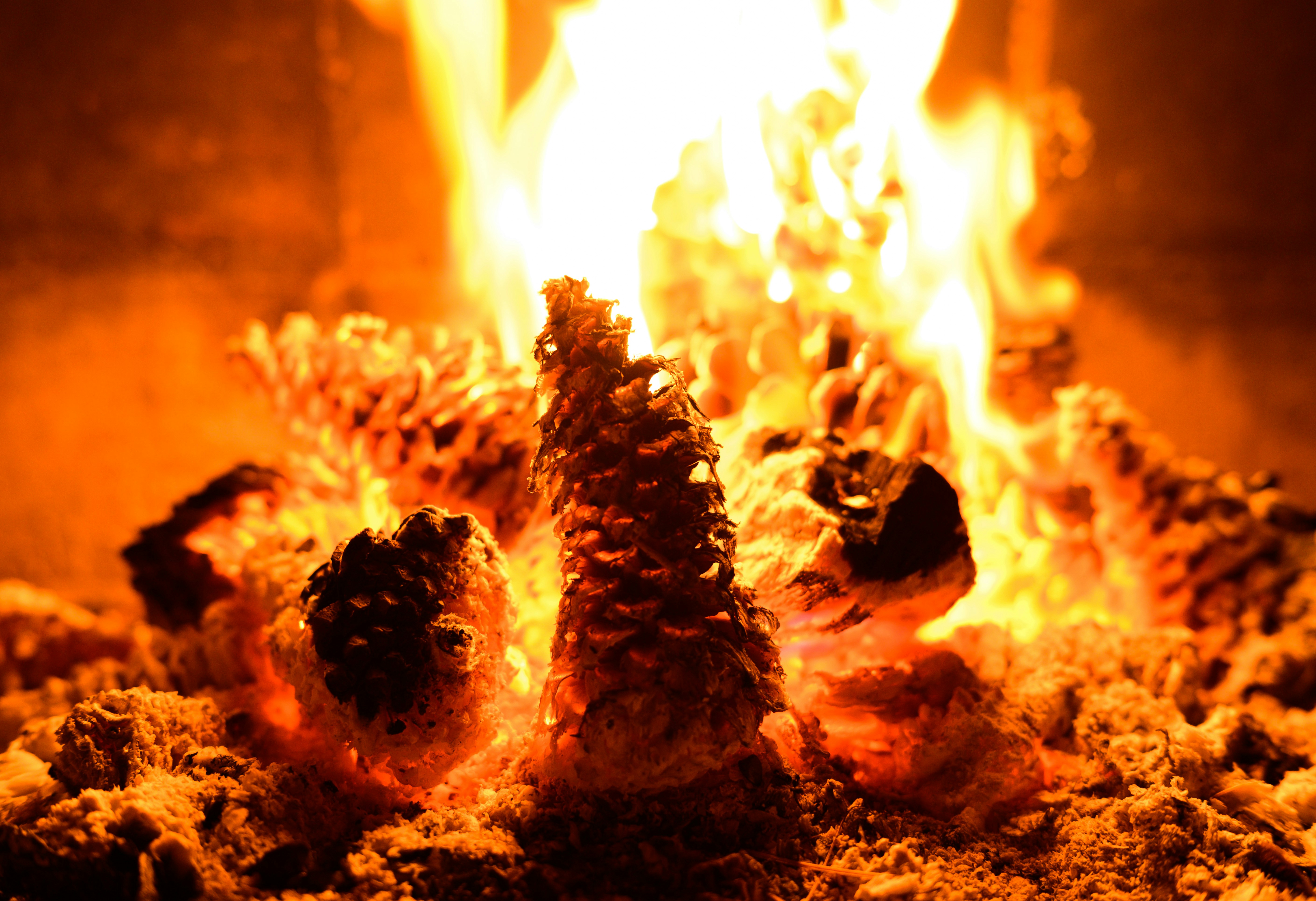 Embers of Nature: A Dance of Flames and Pine Cones