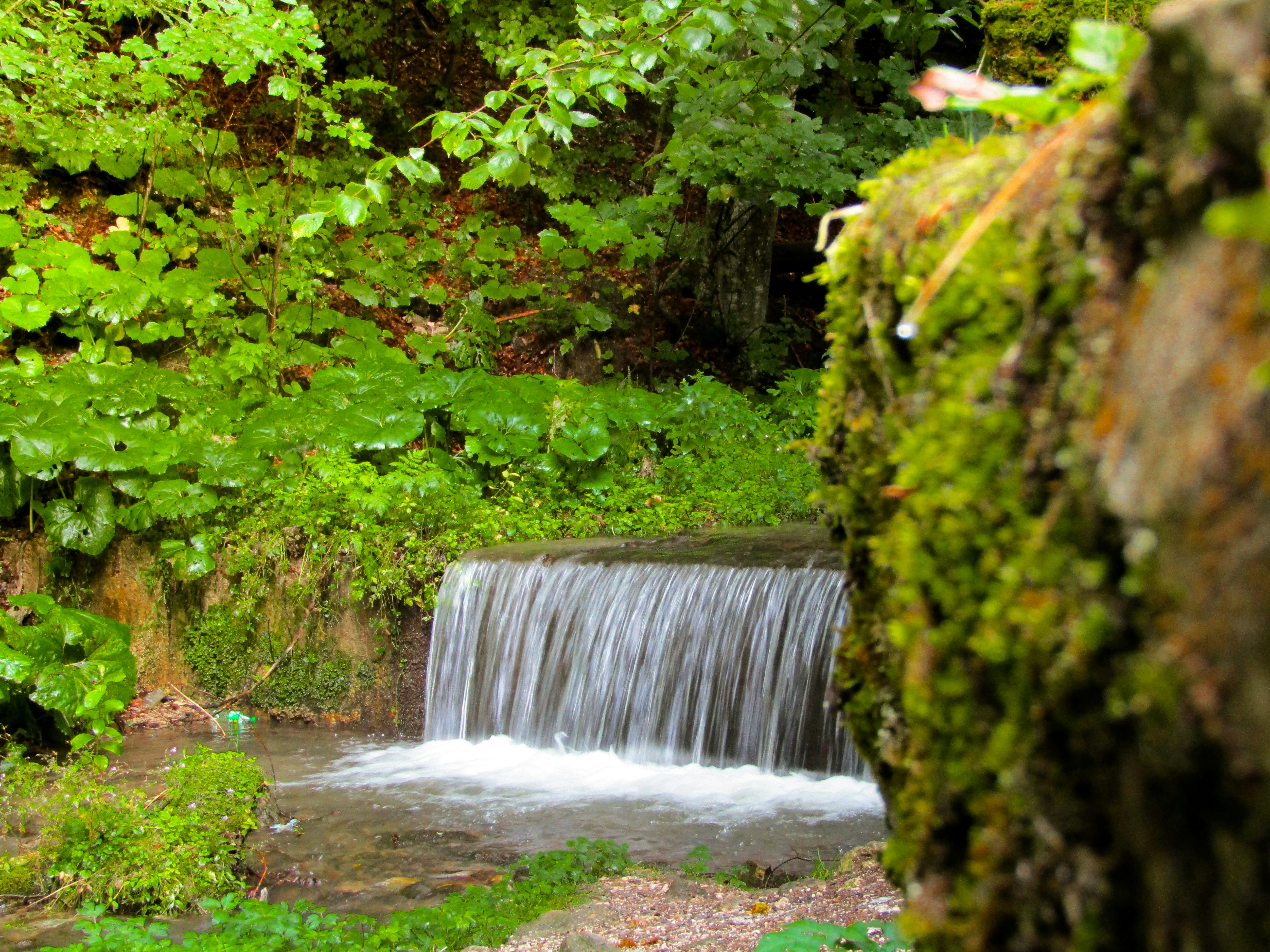 Gentle waterfall cascading over rocks, surrounded by lush green foliage. The serene setting invites a moment of reflection.