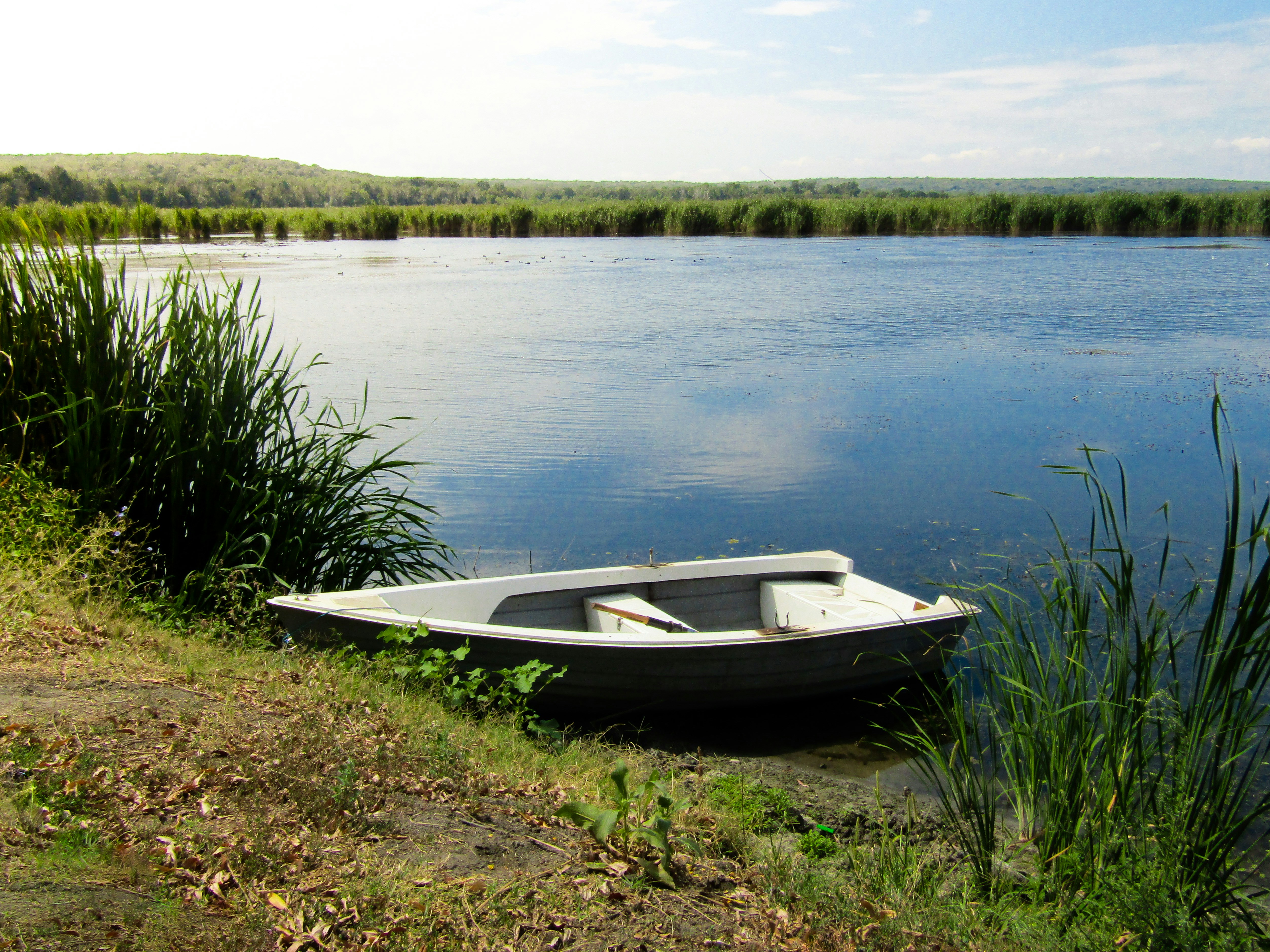 Photo by Roxana Pitis with Canon PowerShot SX430 IS