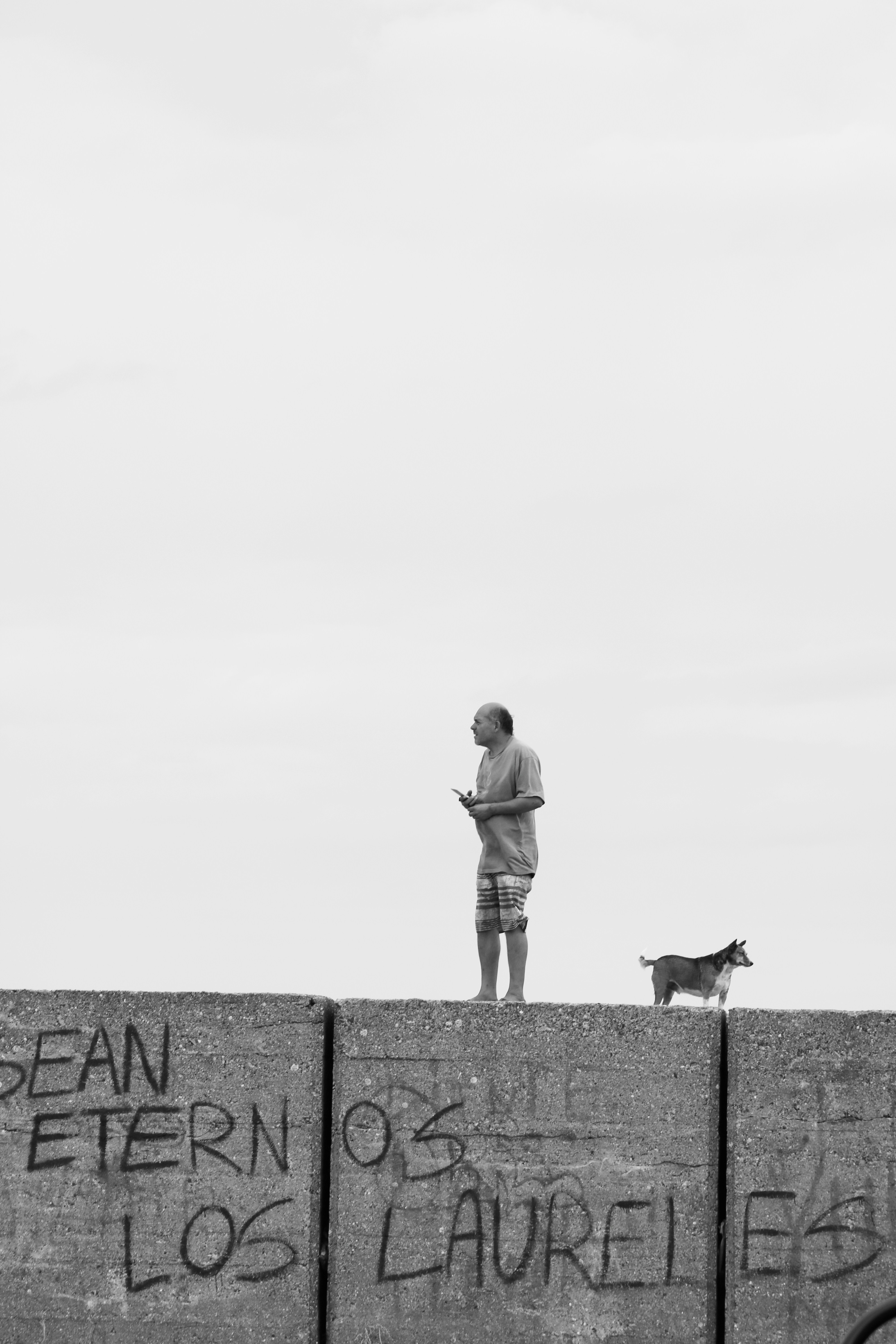 Edge of Silence on a Graffitied Barrier